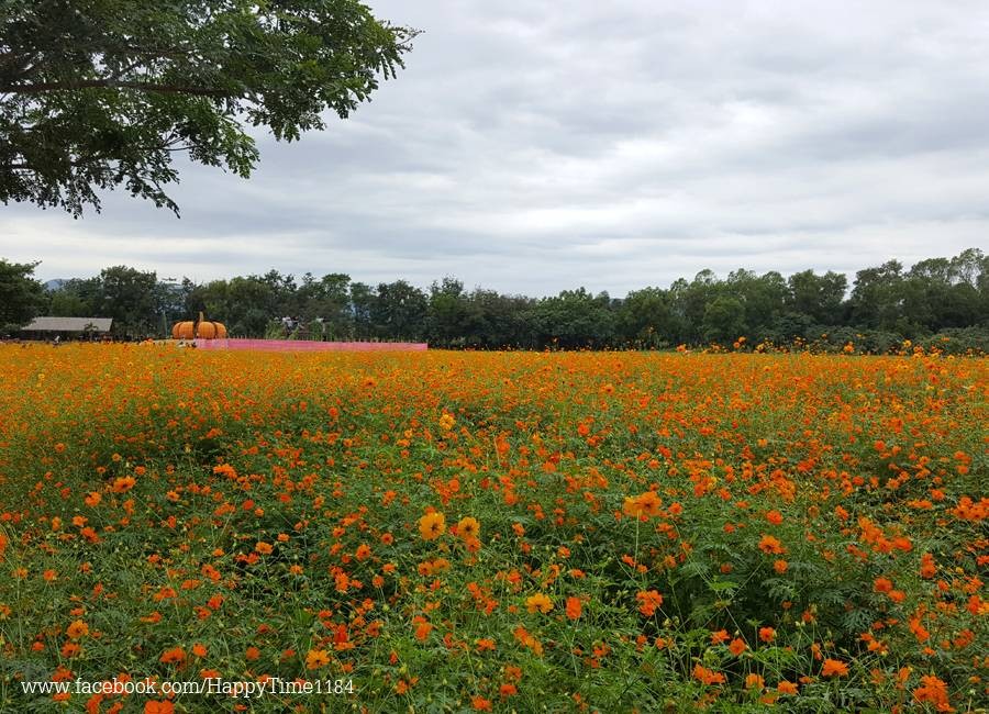 รูป Jim Thompson Farm