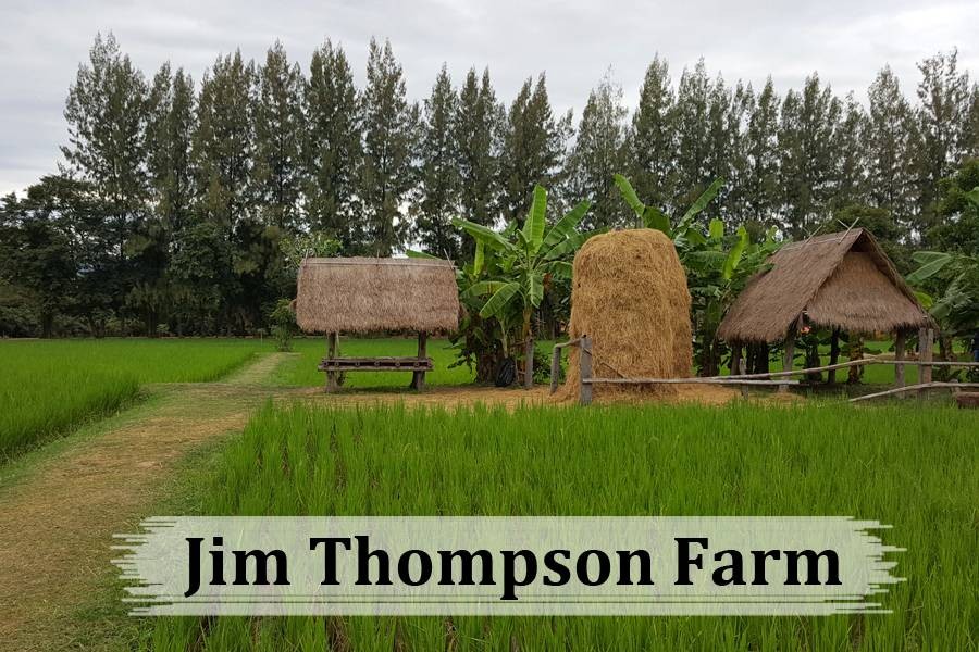 รีวิว Jim Thompson Farm - จิมทอมป์สันฟาร์ม สถานที่ท่องเที่ยวยอดฮิต ที่ ...
