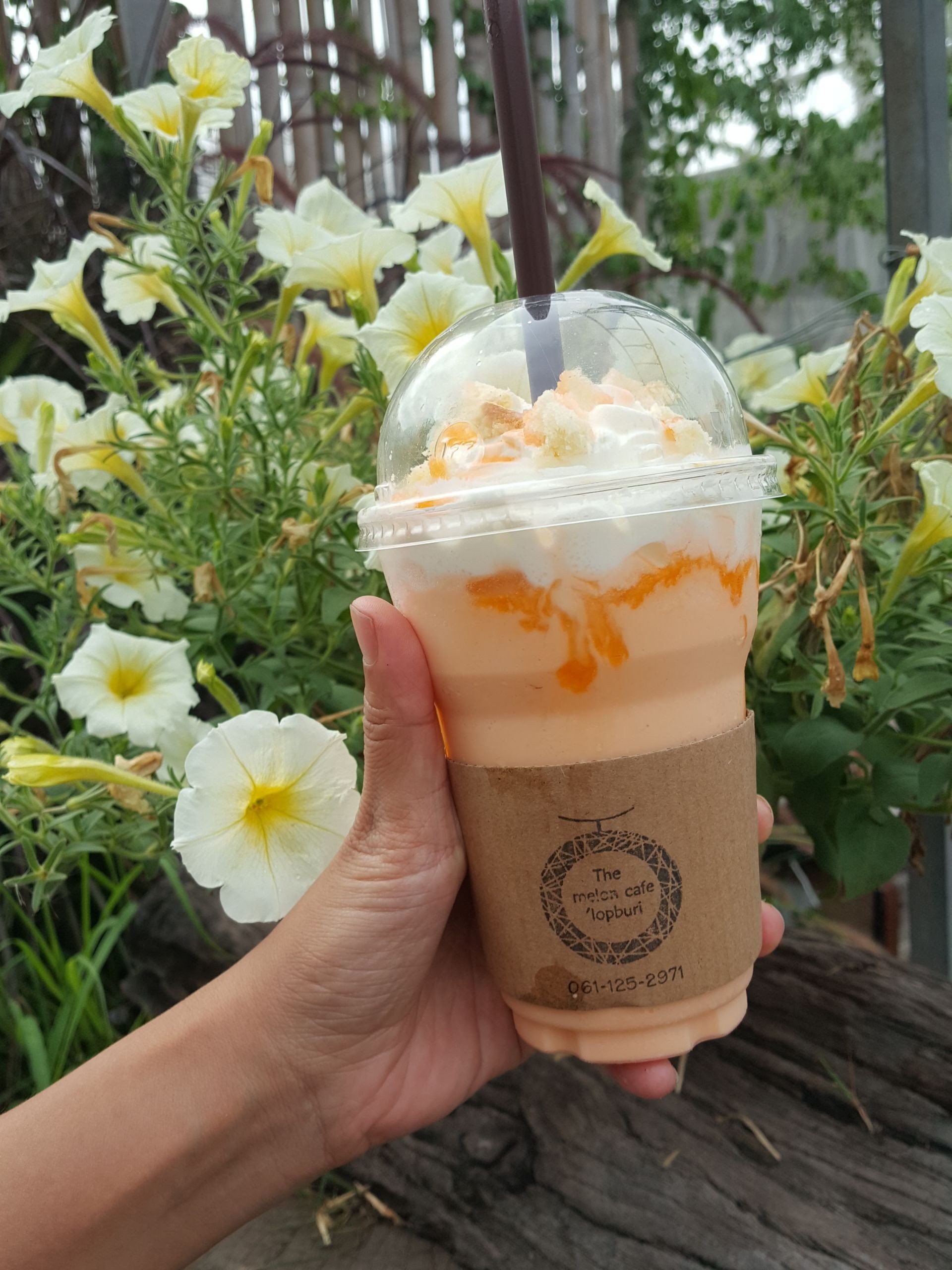 รีวิว The Melon Cafe' Lopburi - ชมต้นเมล่อนที่ The Melon cafe - Wongnai