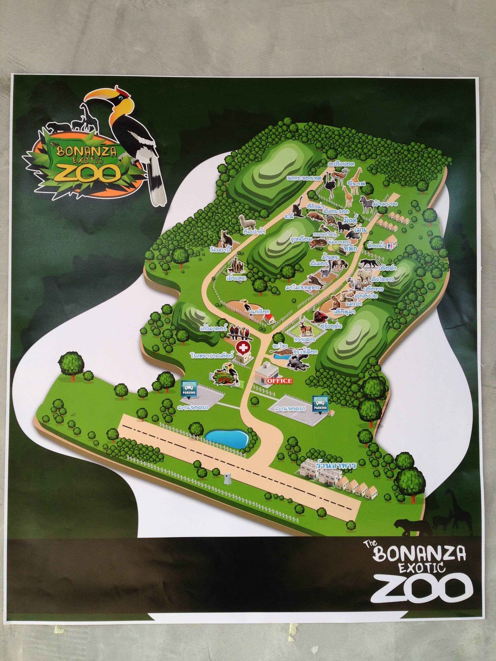 รีวิว Bonanza Exotic Zoo - เดินเล่นเพลินๆ ป้อนนมลูกสิงโต