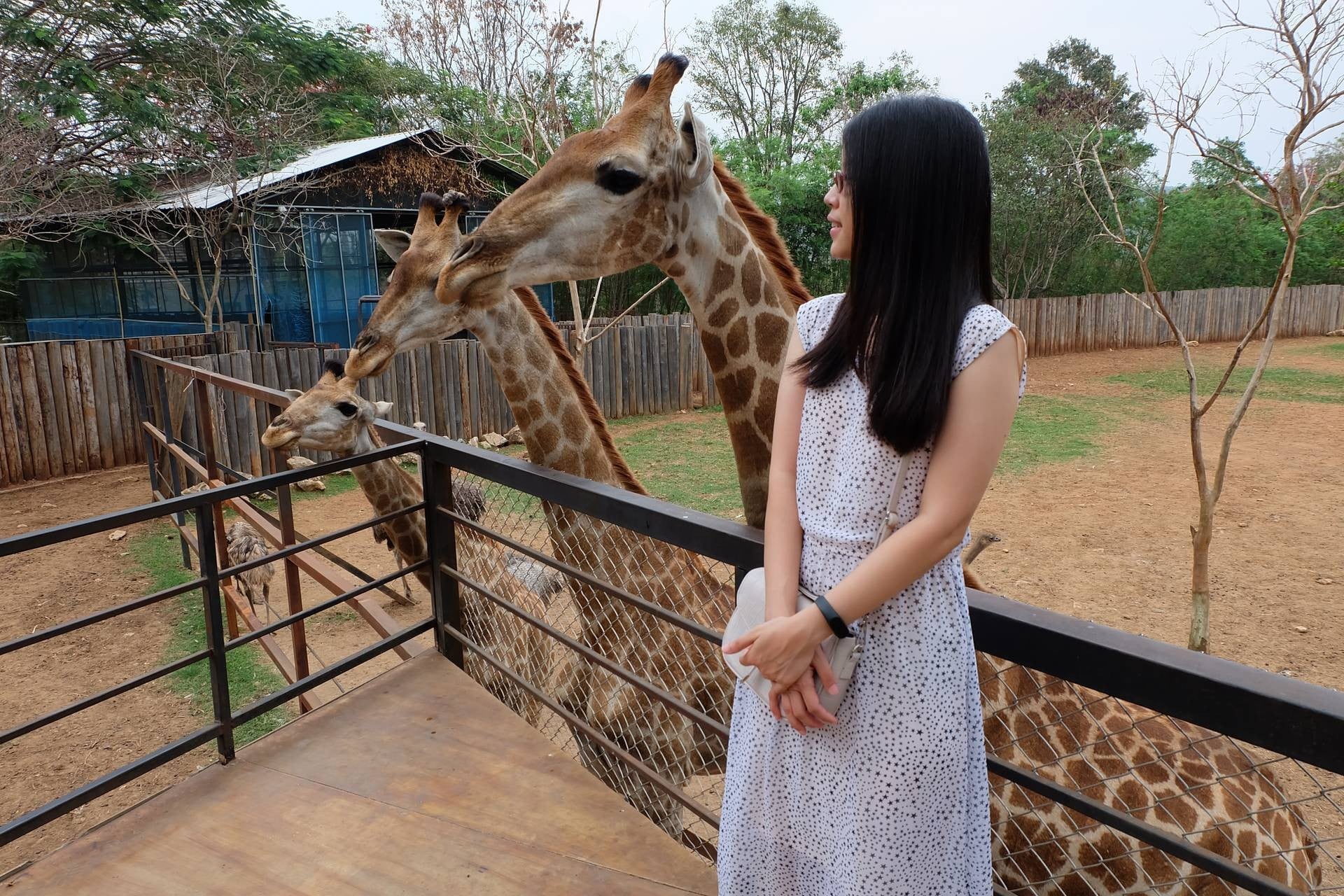 รูป Bonanza Exotic Zoo - Wongnai