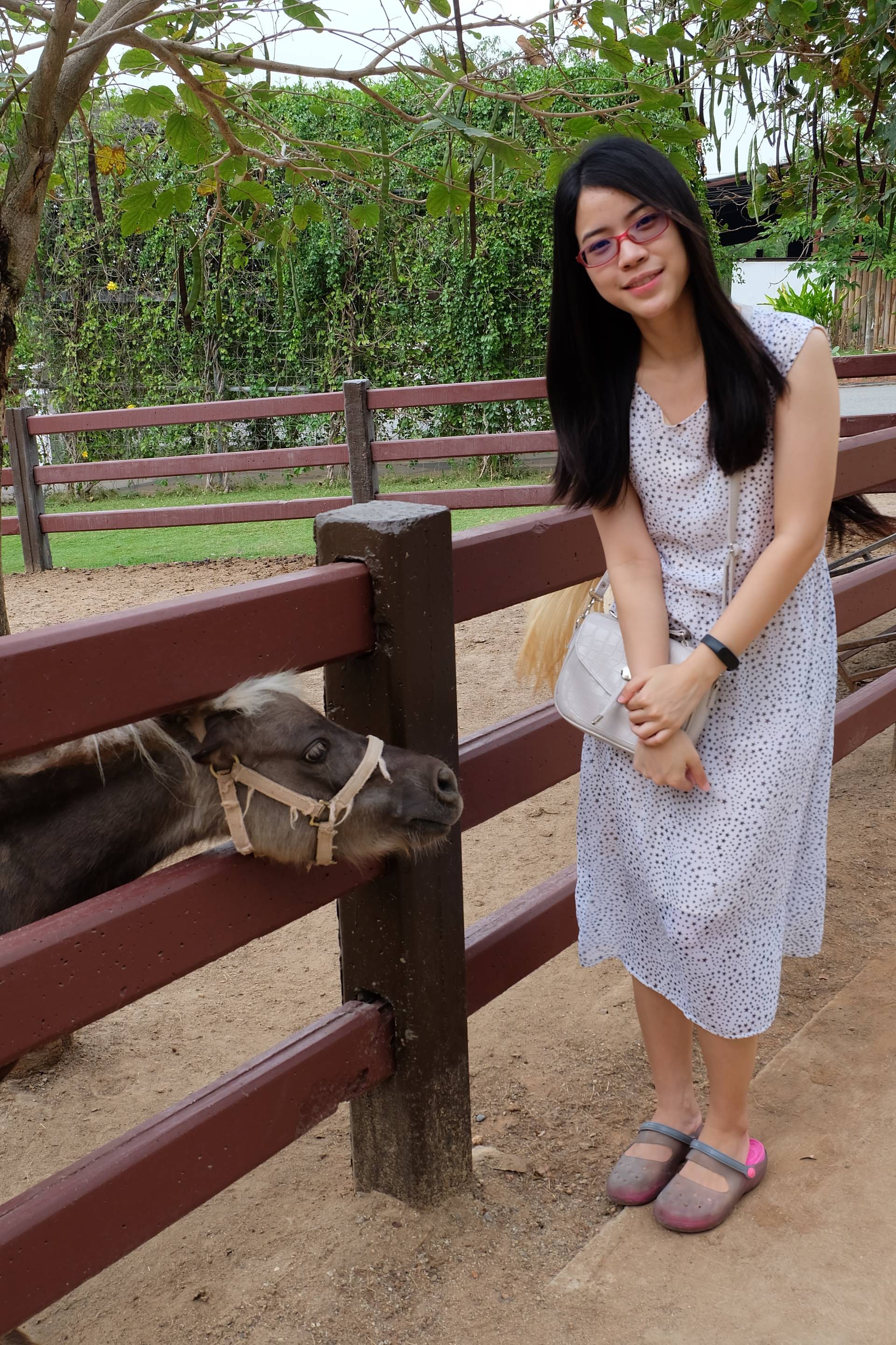 รูป Bonanza Exotic Zoo - Wongnai