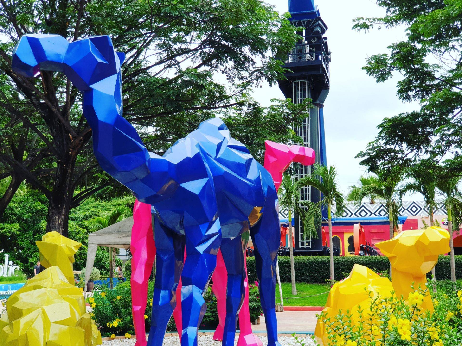 รูป Camel Republic