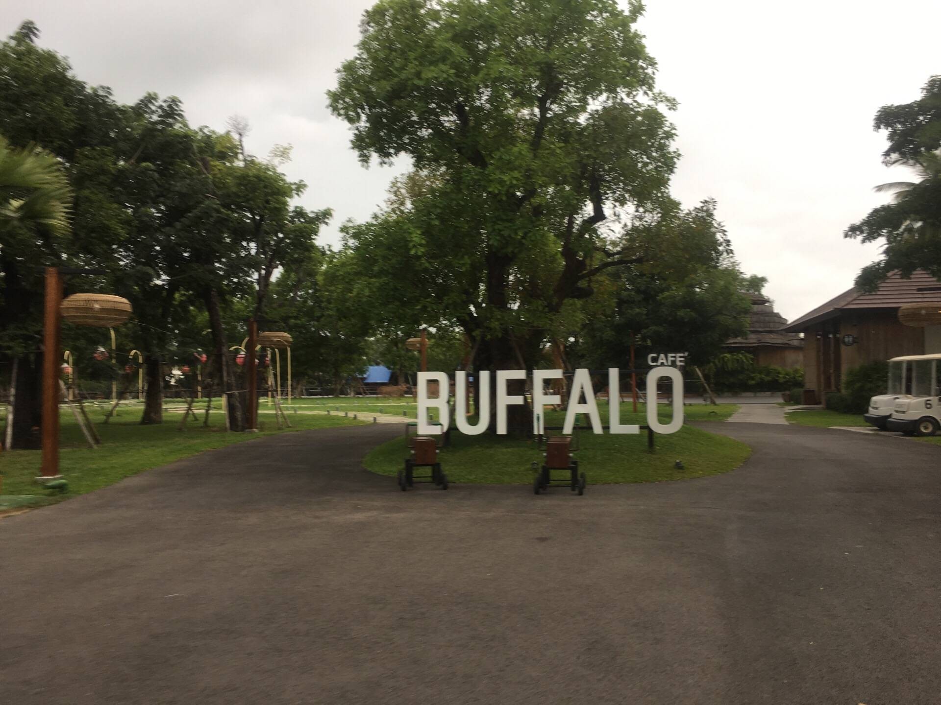 รีวิว The Buffalo Cafe' - ดี สงบ น่านั่ง สวยงาม