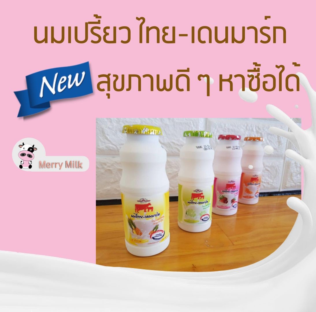 นมเปรี้ยวพร้อมดื่ม • image ร้าน ไทย-เดนมาร์ก Merry milk