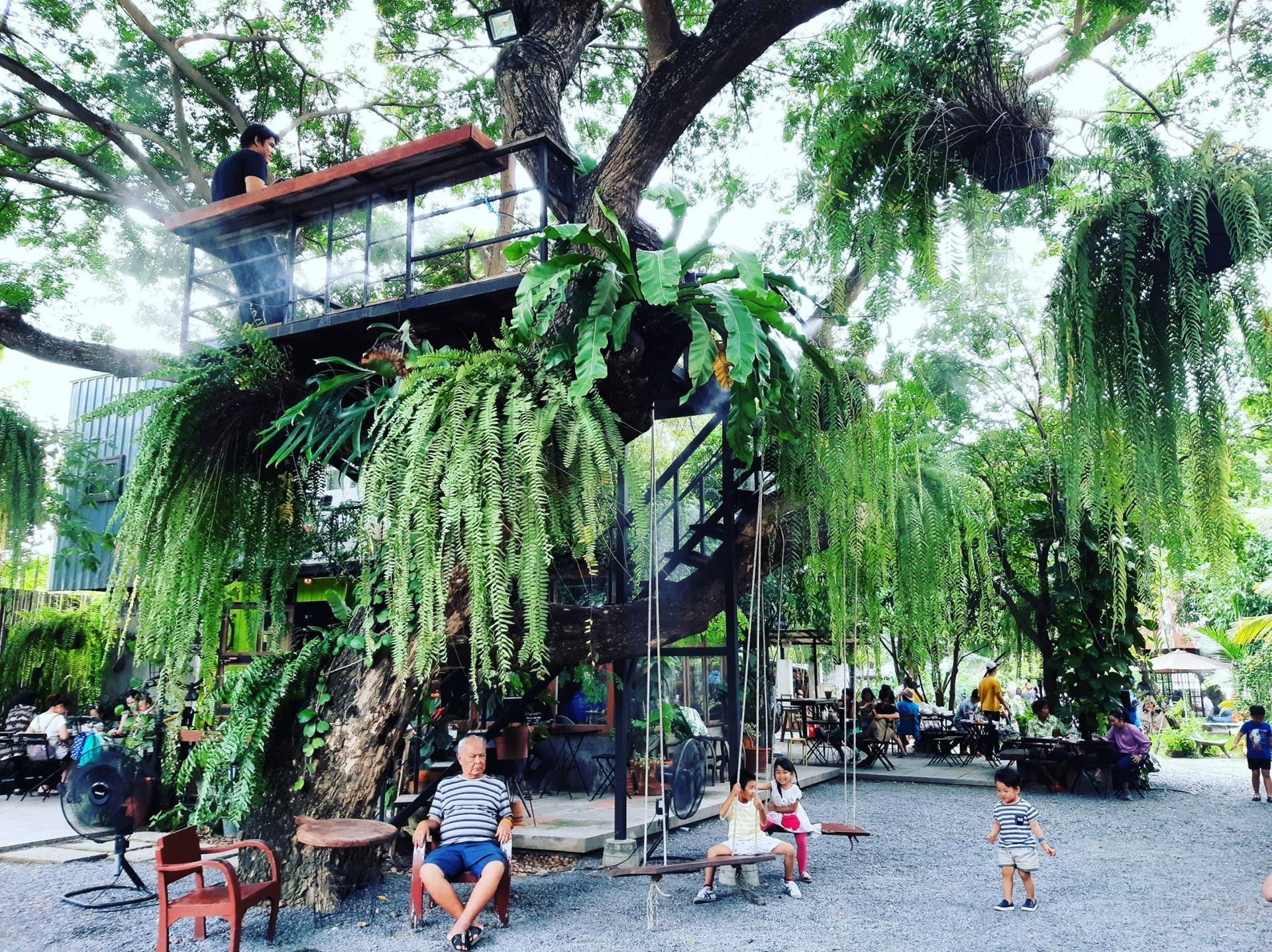 รีวิว บ้าน ๑,๐๐๐ ไม้ Cafe & Farm - ร้านกาแฟ & ฟาร์ม เข้ากันมั้ย ไปแล้ว ...