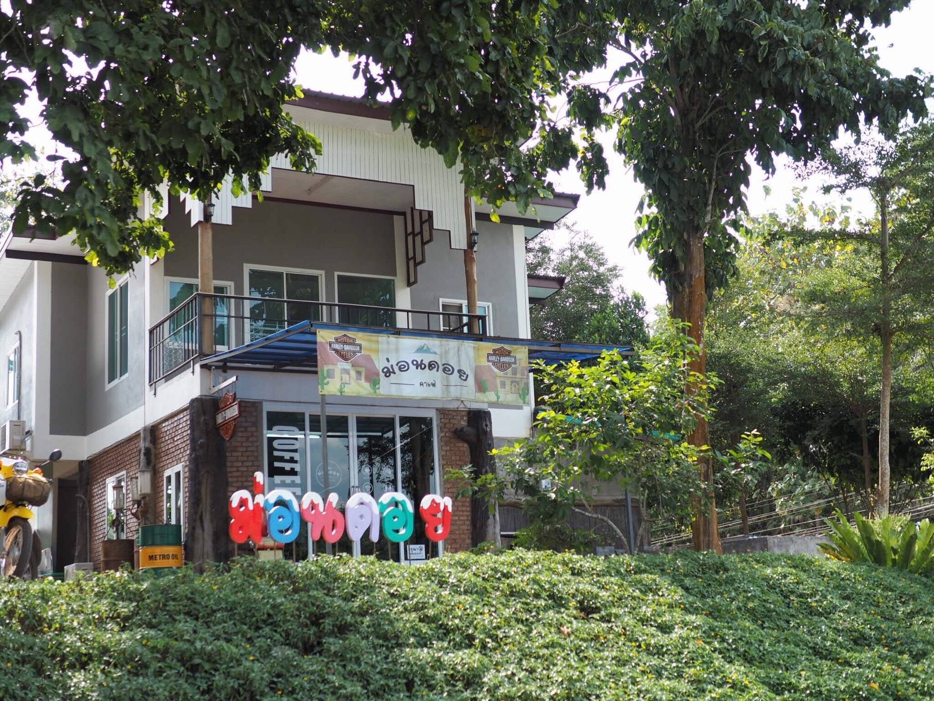 รีวิว ม่อน ดอยคาเฟ่ Est 2017 - เที่ยวนาต้นจั่น แวะพักดื่มน้ำเย็นๆ