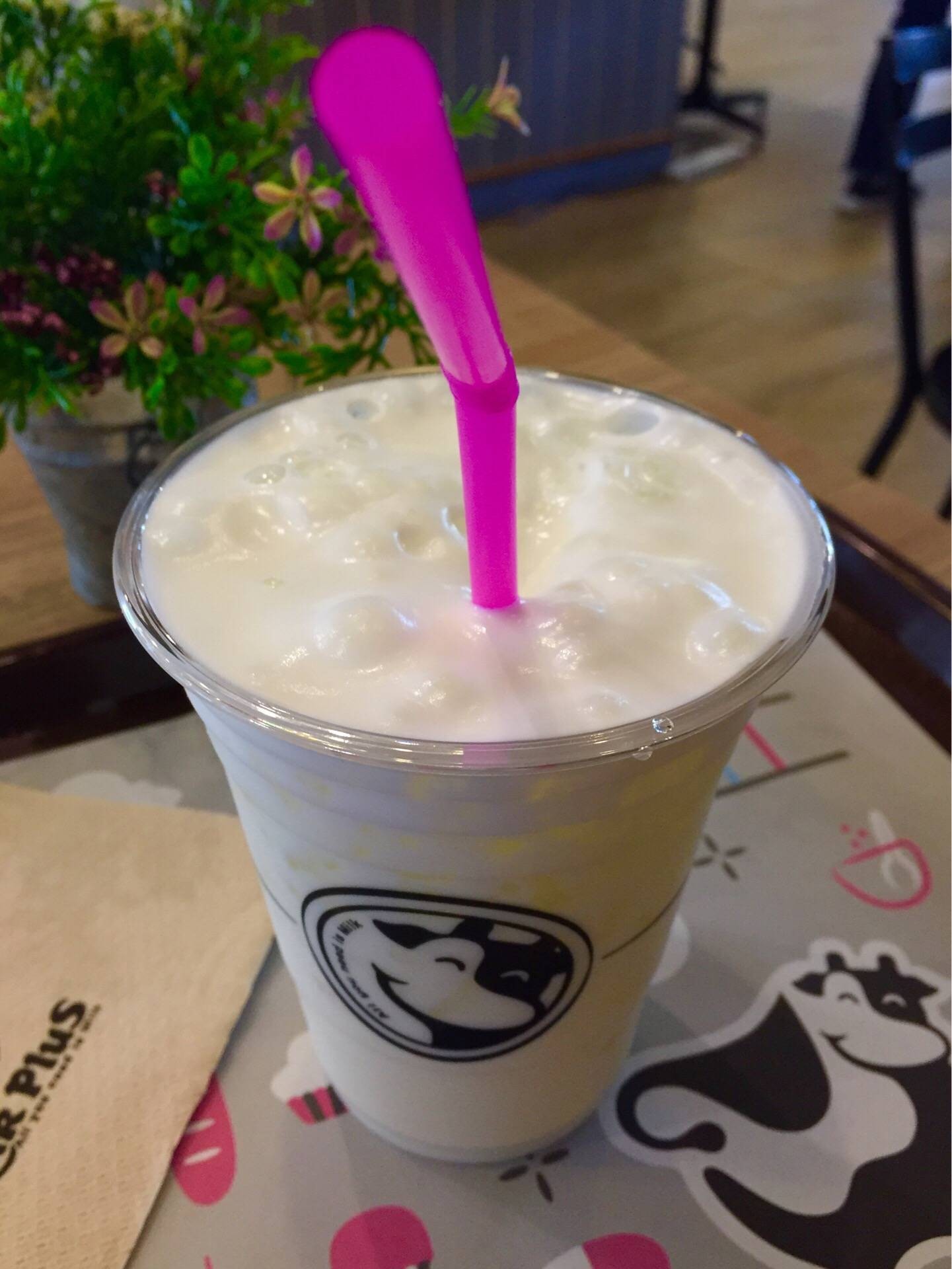 รีวิว MILK PLUS มาบุญครองเซ็นเตอร์ ชั้น 1 - นมสดเย็นๆดื่มแล้วสดชื่นดี