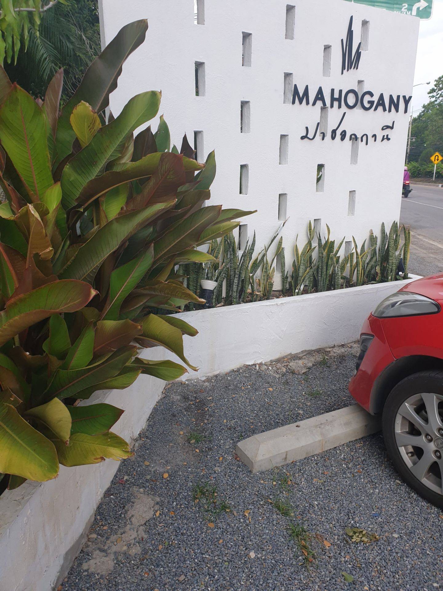 รีวิว Mahogany Café - ร้านดี มีโปรบ่อย