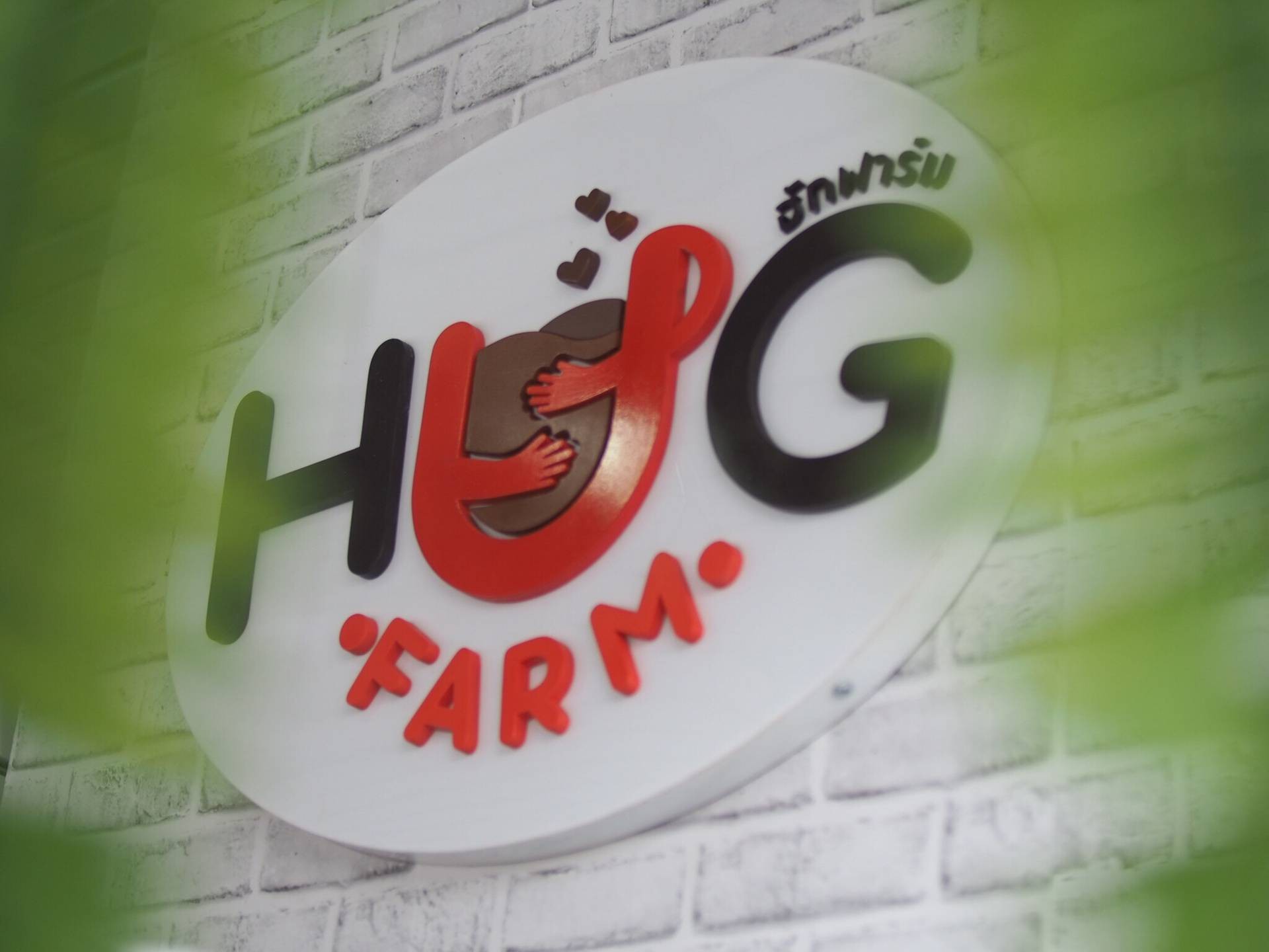 Hug Farm ป่าอ้อดอนชัย - สั่งอาหารเดลิเวอรี | Wongnai x LINE MAN