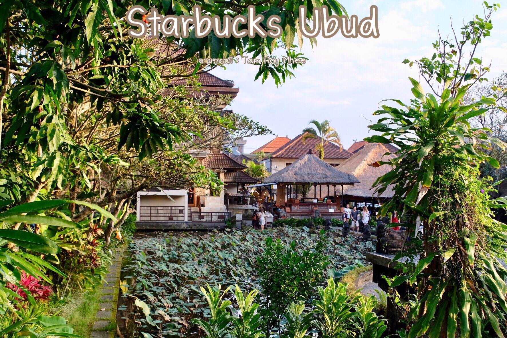 ร้าน Starbucks Coffee Ubud | รีวิวร้านอาหาร