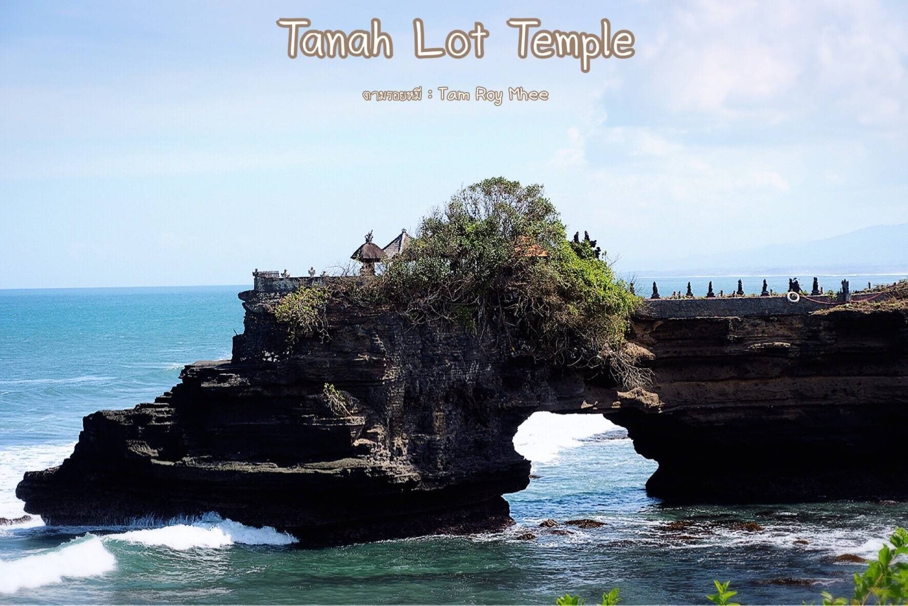 รีวิว Tanalot Wongnai