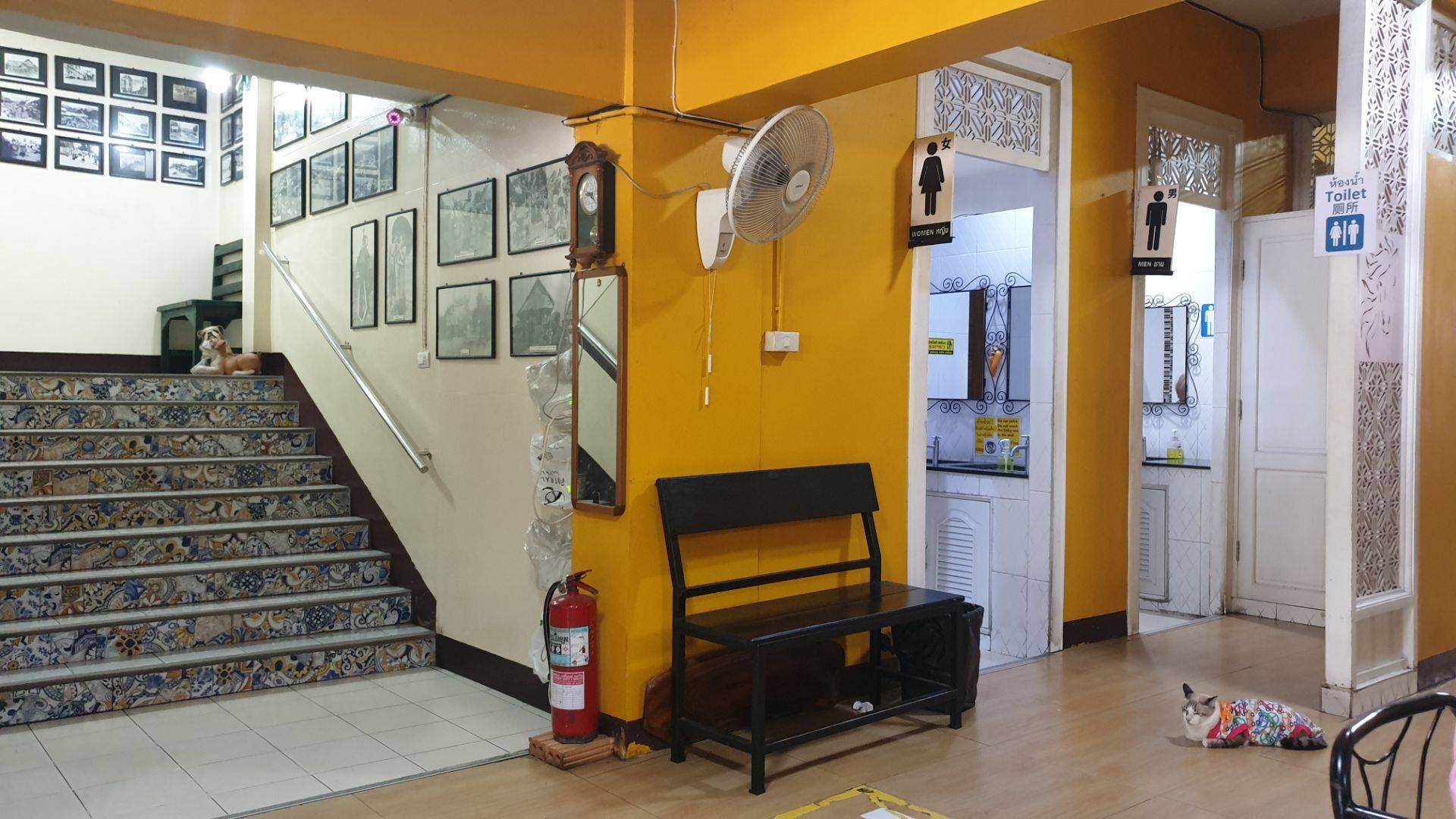 รีวิว Jok Somphet - โจ็กดังติดถนนใหญ่ คูเมืองเชียงใหม่ เปิด 24 ชม. หลากหลายเมนู จอดรถยากนิดนึง ...