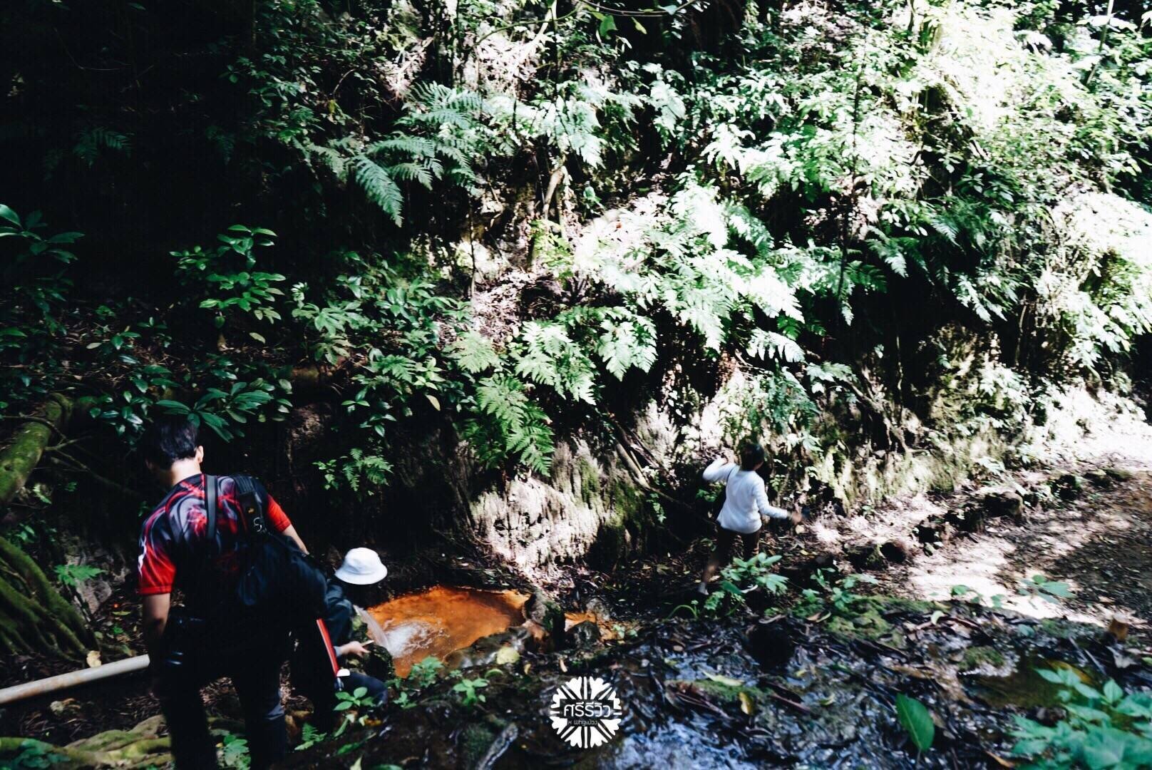 Belawan Waterfall - รีวิวสถานที่ท่องเที่ยว