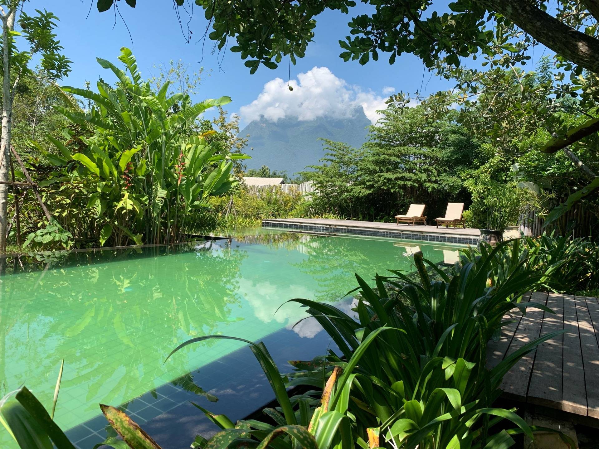 Azalea Village Resort - รีวิวที่พัก - Wongnai