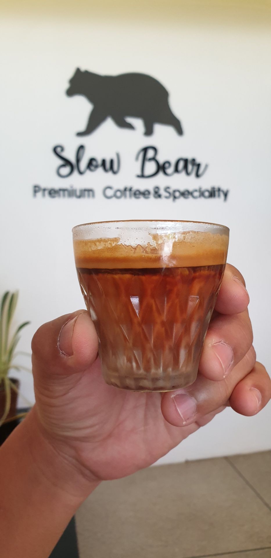 รีวิว Slow Bear Coffee - Slow bear ร้านกาแฟที่ห้ามพลาด