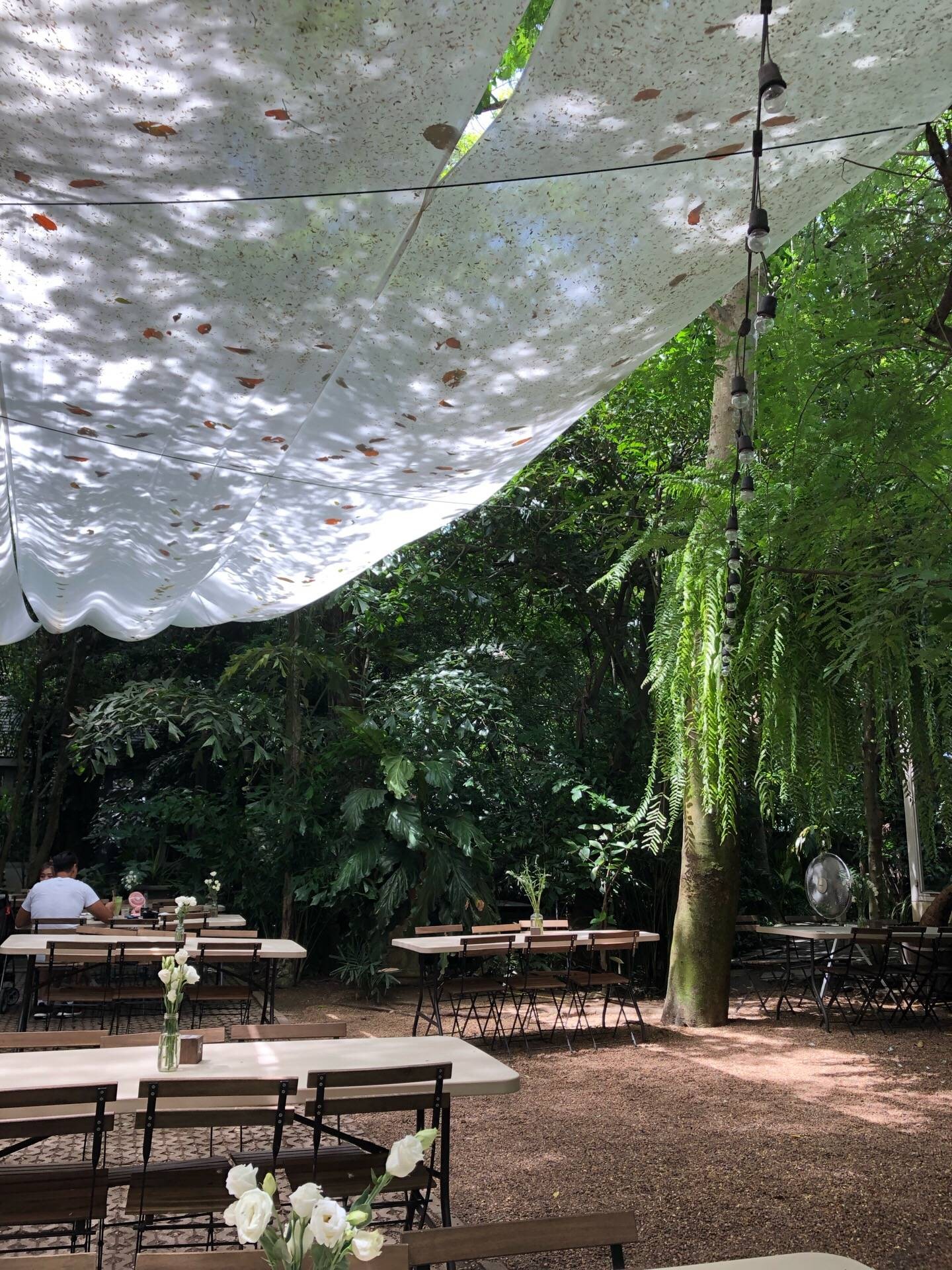 รูป Little Tree Garden บ้านใหม่