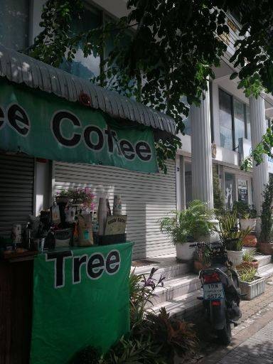 ร้าน Tree coffee | รีวิวร้านอาหาร - Wongnai
