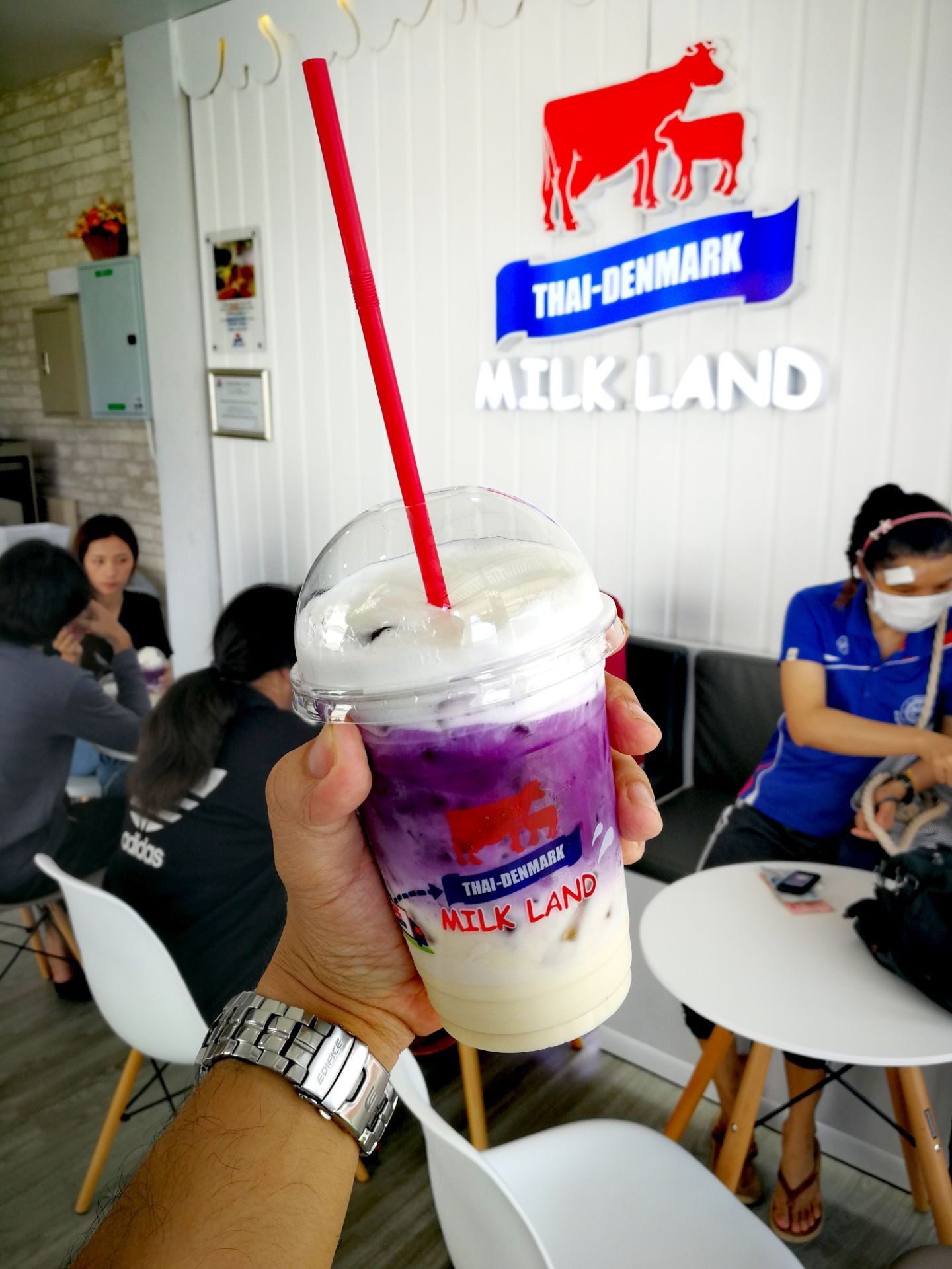 ร้าน Thai - Denmark MILK LAND ในเมือง | รีวิวร้านอาหาร