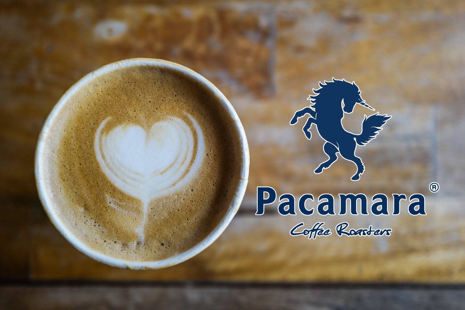 รีวิว PACAMARA Star Avenue 2 เชียงใหม่ - specialty ดีงามๆๆๆๆ