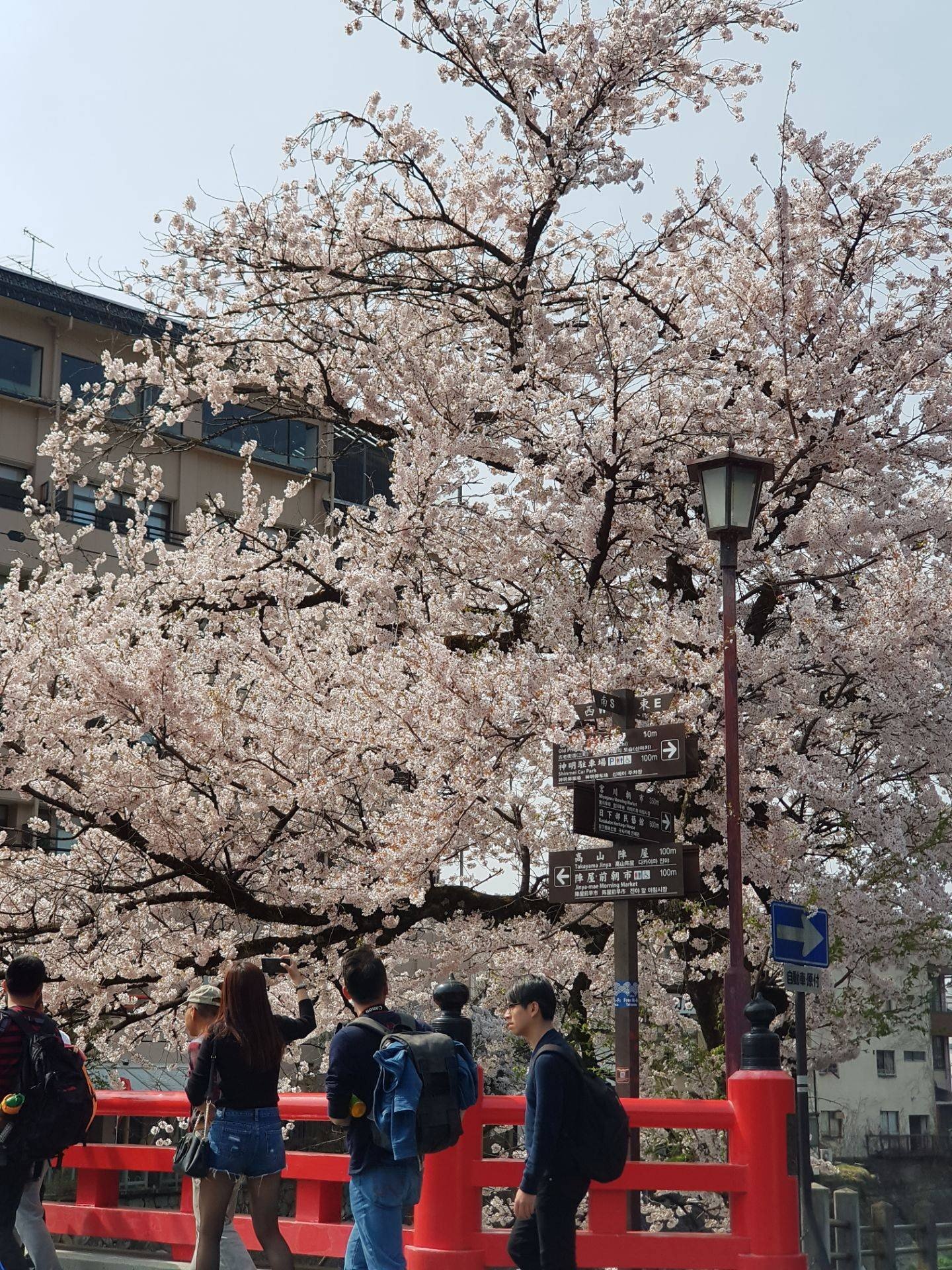 รีวิว Sanmachi-Suji Takayama - เที่ยวเมืองเก่าทาคายาม่า Takayama Old ...