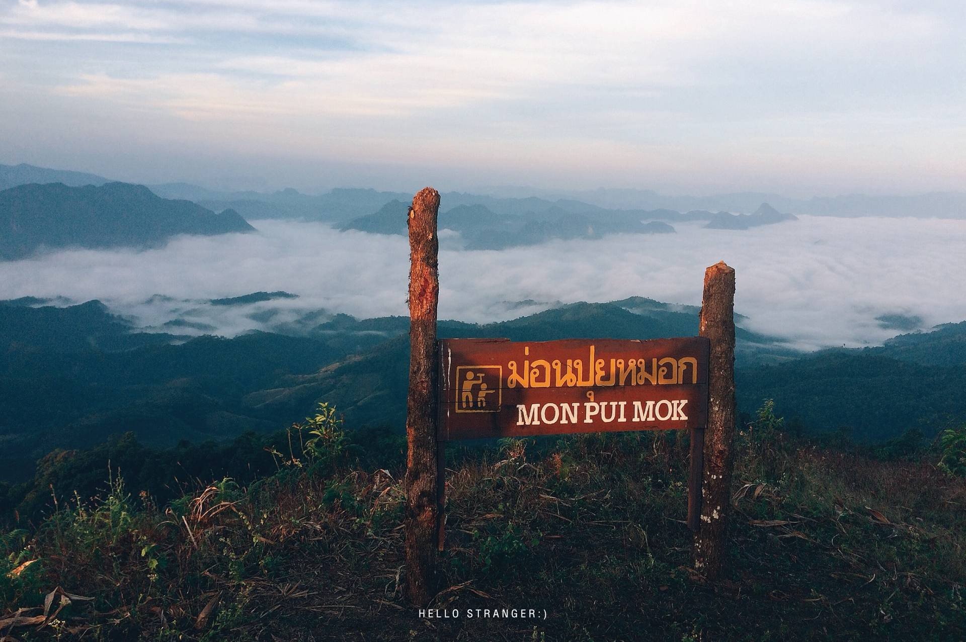 Mon Pui Mok : เดินป่าล่าหมอก ที่ม่อนปุยหมอก จ.ตาก