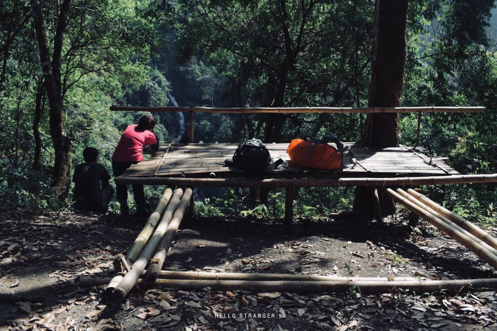 Mon Pui Mok : เดินป่าล่าหมอก ที่ม่อนปุยหมอก จ.ตาก