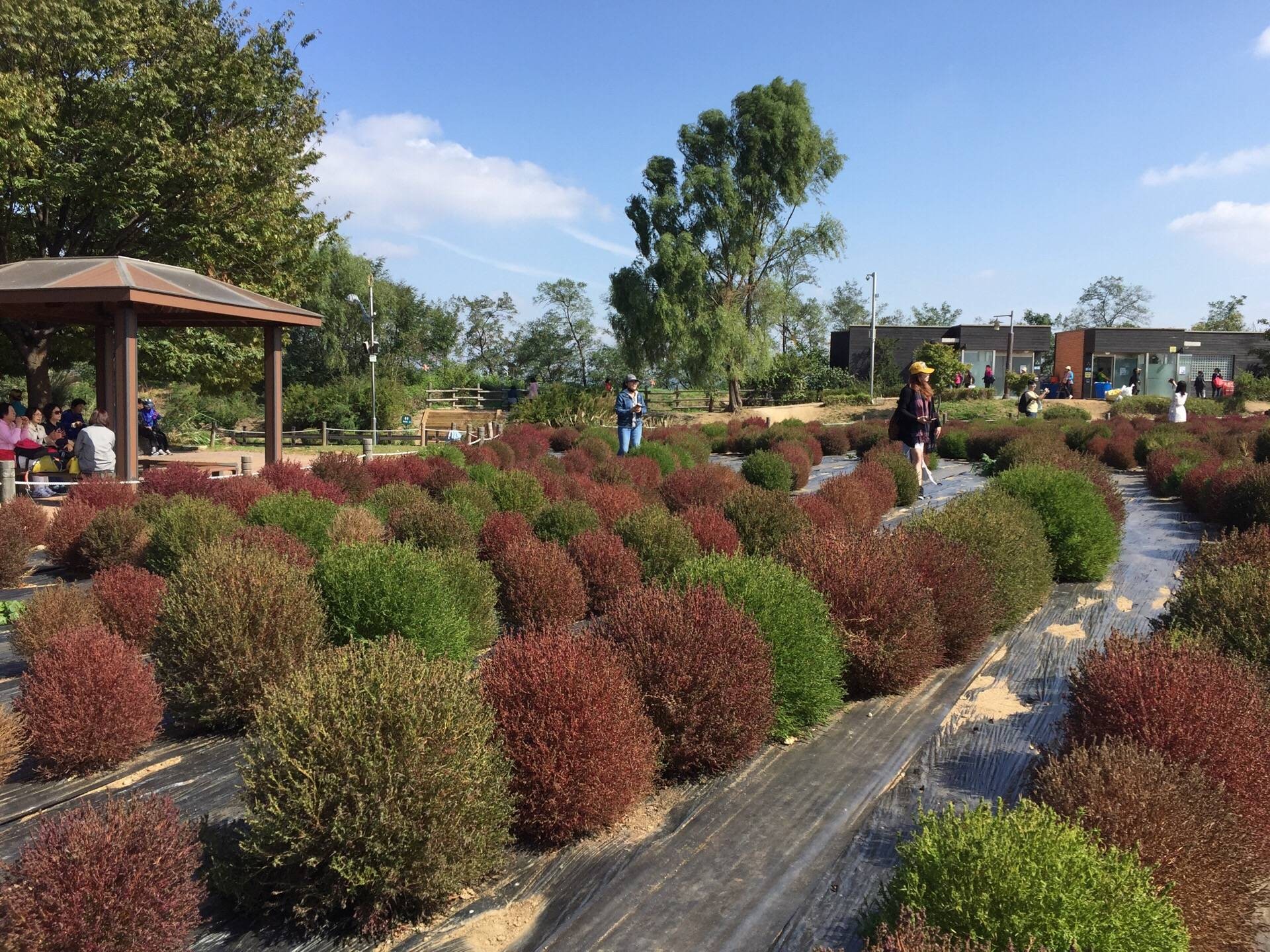 Hanuel Park - รีวิวสถานที่ท่องเที่ยว