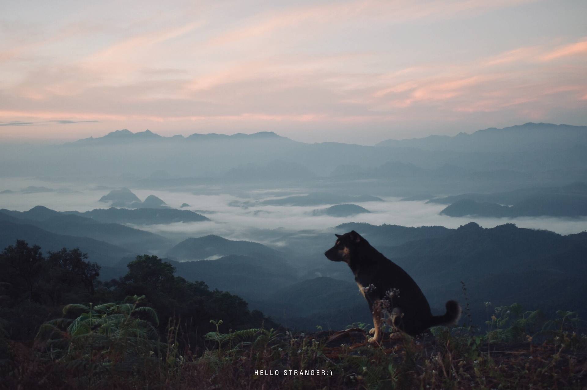 Mon Pui Mok : เดินป่าล่าหมอก ที่ม่อนปุยหมอก จ.ตาก