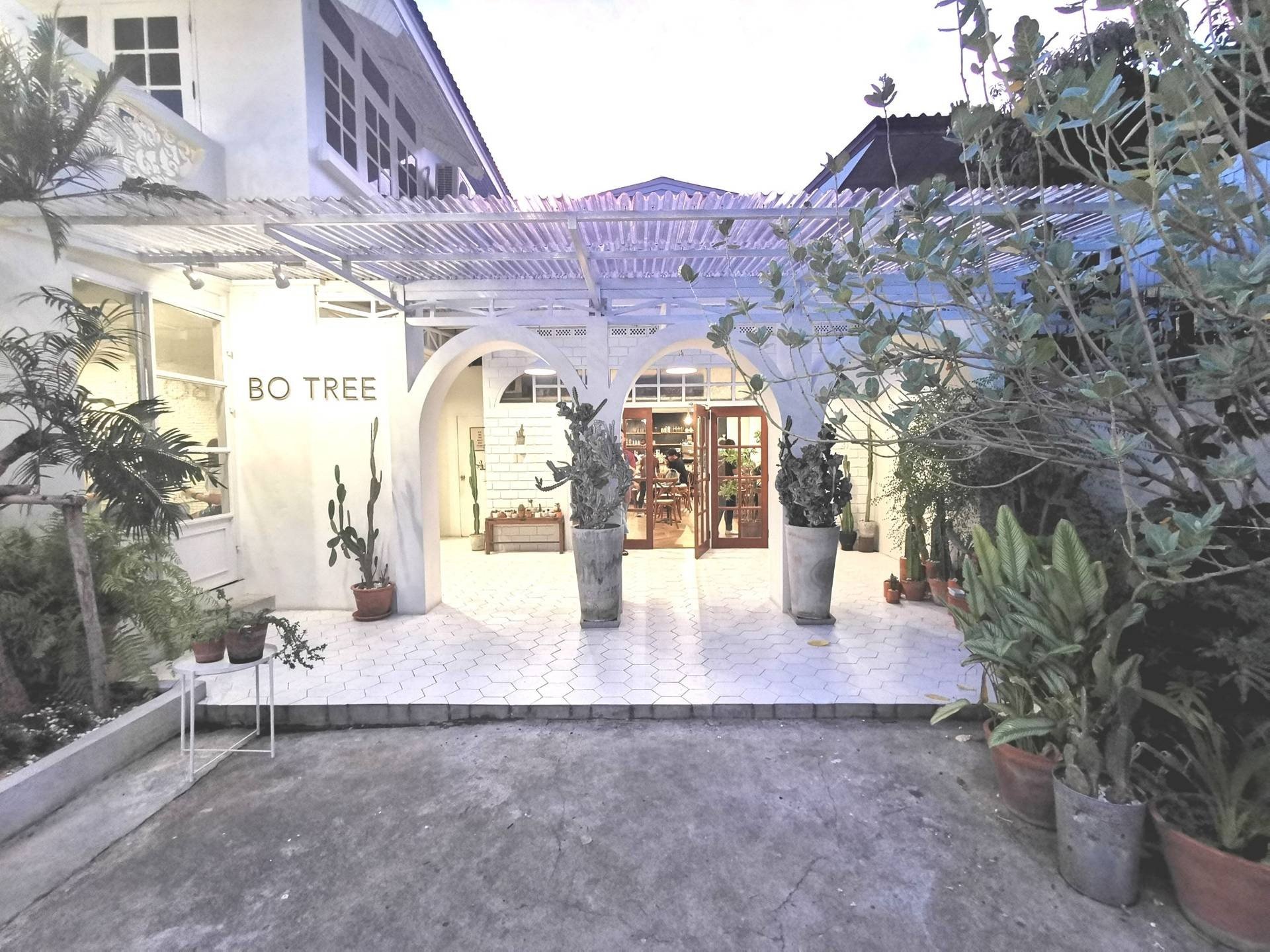 รีวิว Bo Tree Cafe & Bistro - บ้านสีขาว มีมุมต้นไม้ให้สาวๆถ่ายรูป