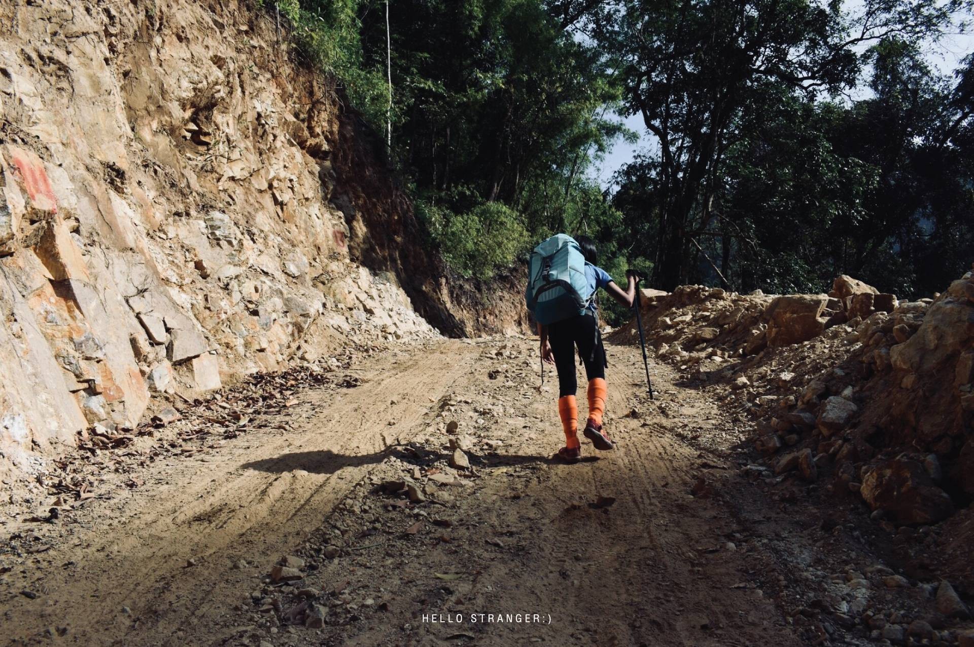 Mon Pui Mok : เดินป่าล่าหมอก ที่ม่อนปุยหมอก จ.ตาก