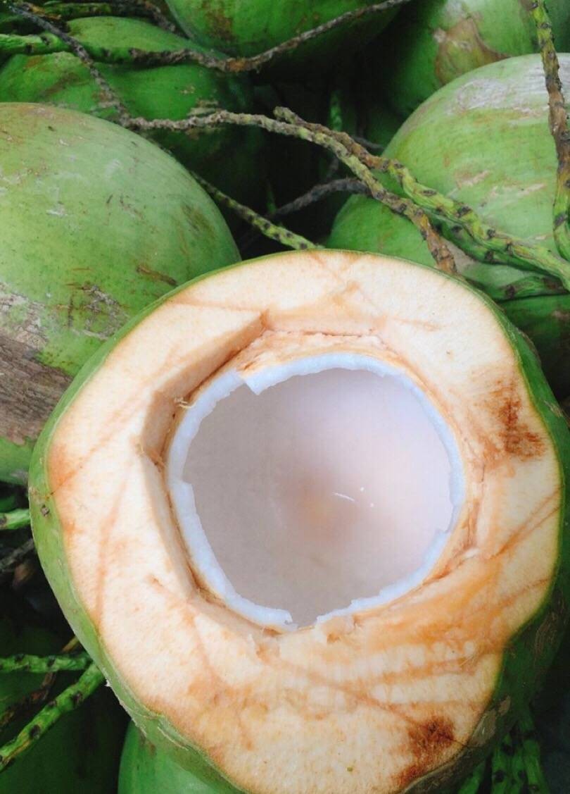 รีวิว Gorilla Coco ‭ - Gorilla Coco ร้านขายมะพร้าวน้ำหอมแท้ 100% จาก ...