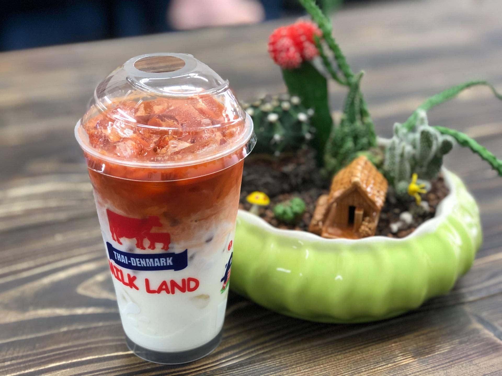 ร้าน Thai - Denmark MILK LAND ม.นเรศวร พิษณุโลก | รีวิวร้านอาหาร - Wongnai