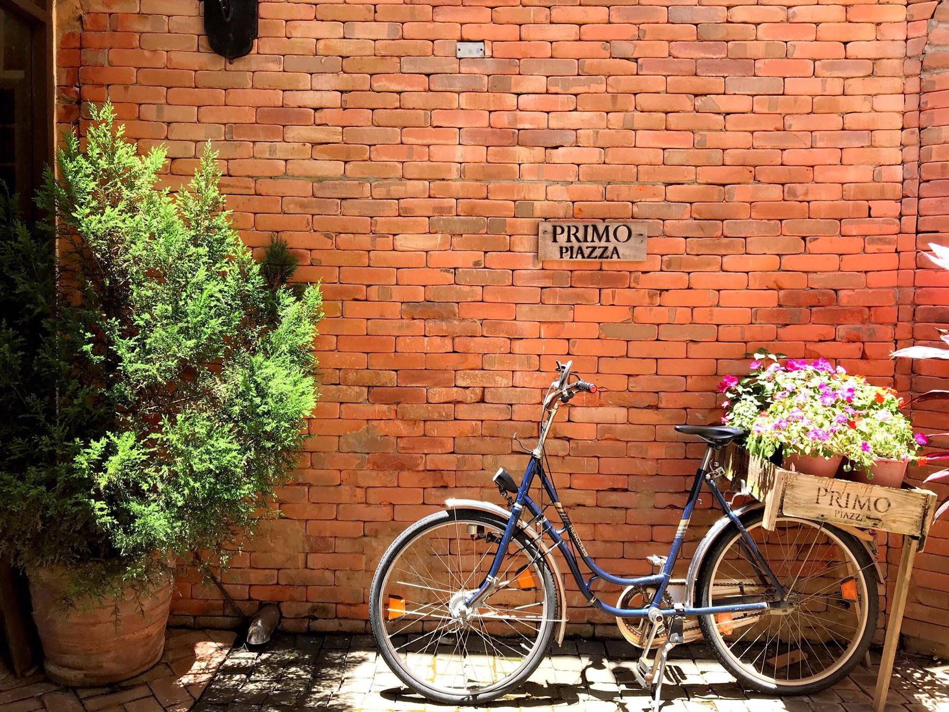 รูป Primo Piazza