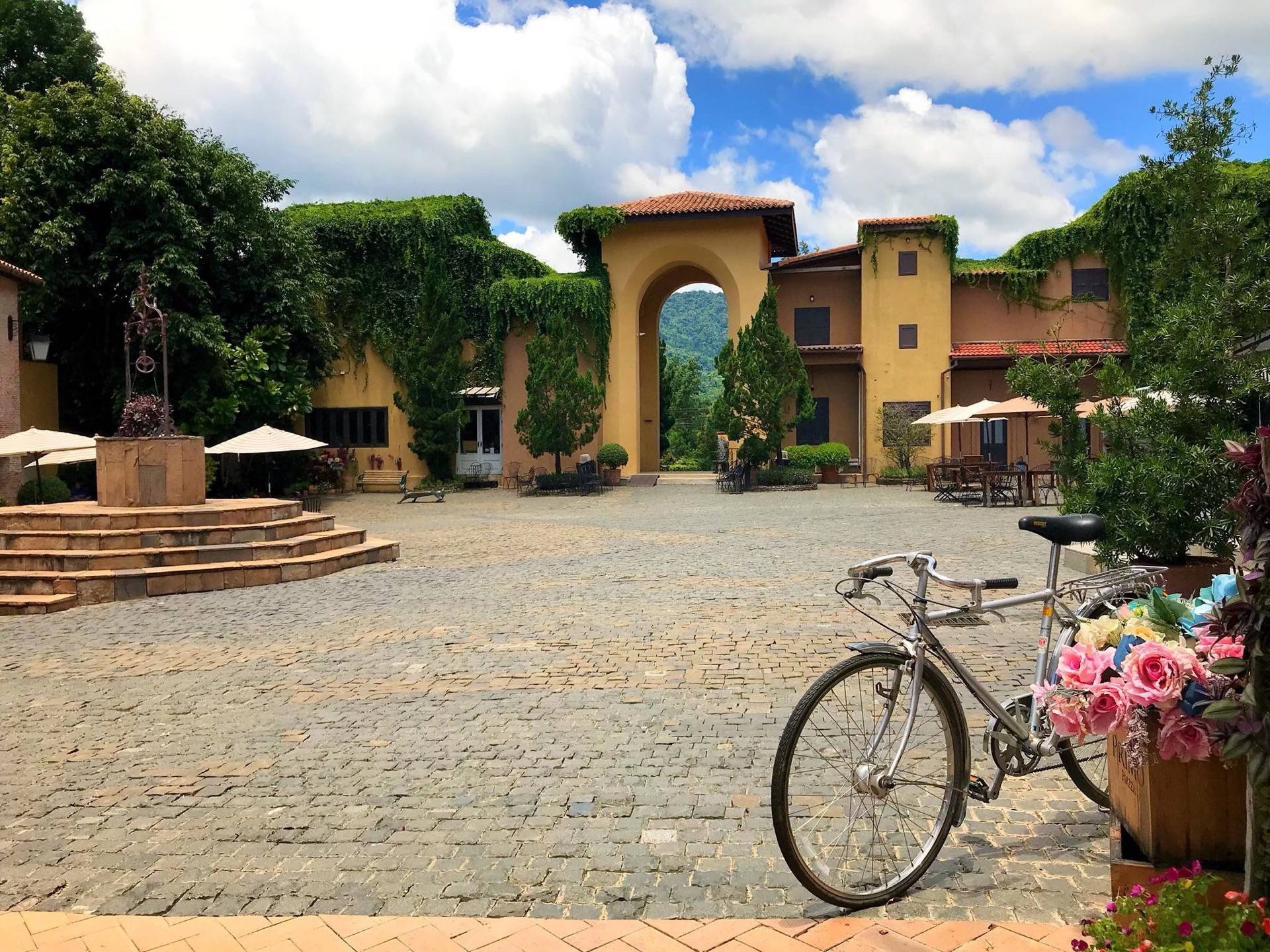 รูป Primo Piazza