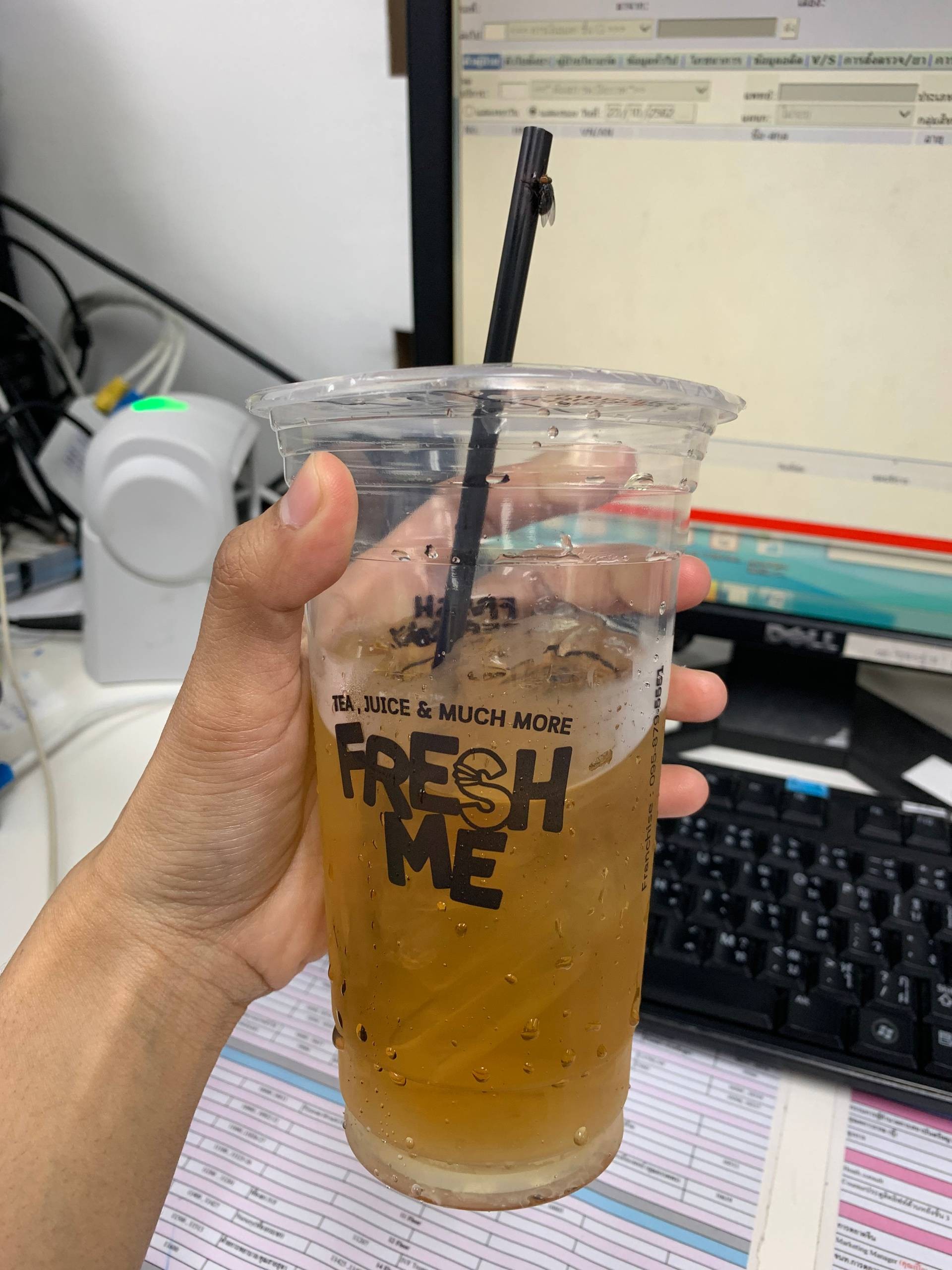 รีวิว Fresh Me RCA - ต้องมาลองกินนนน