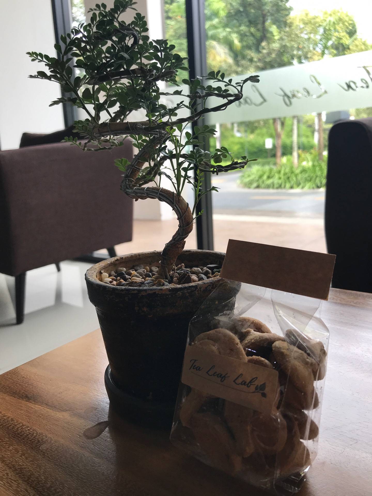 รีวิว Tea Leaf Lab - ร้านเรียบ หรู แต่ก็ชิลๆสบายๆมากกก