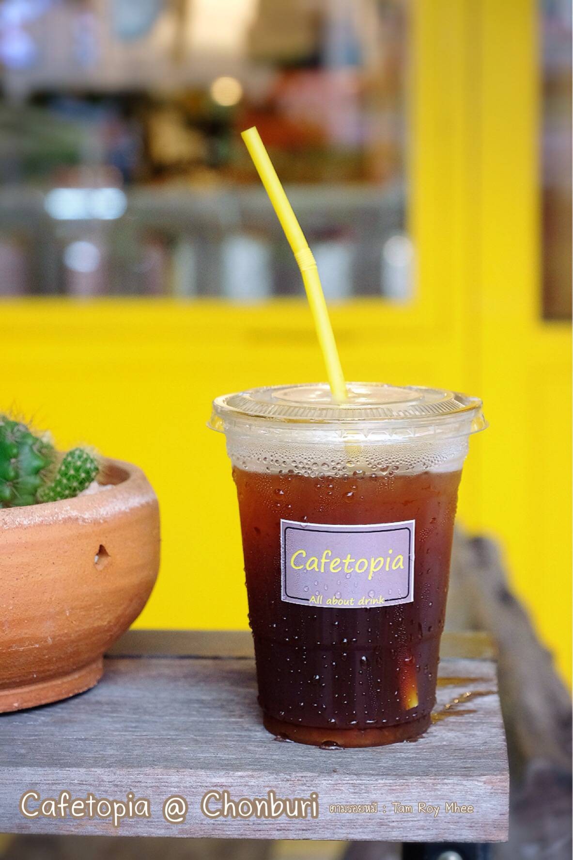 ร้าน Cafetopia Specialty Coffee | รีวิวร้านอาหาร