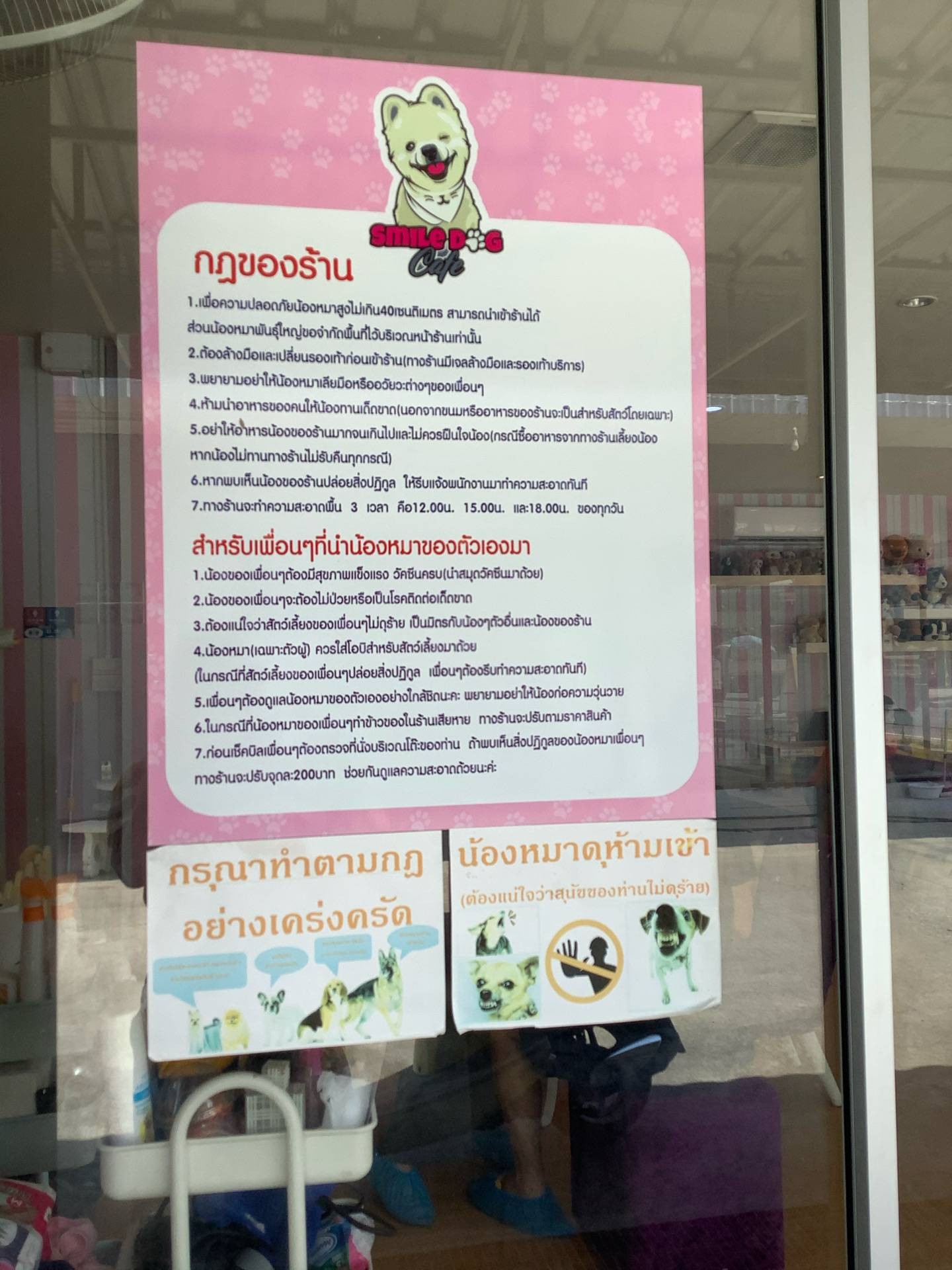 รีวิว Smile Dog Cafe - น้องหมาน่ารักมีเยอะเลย เฟรนลี่
