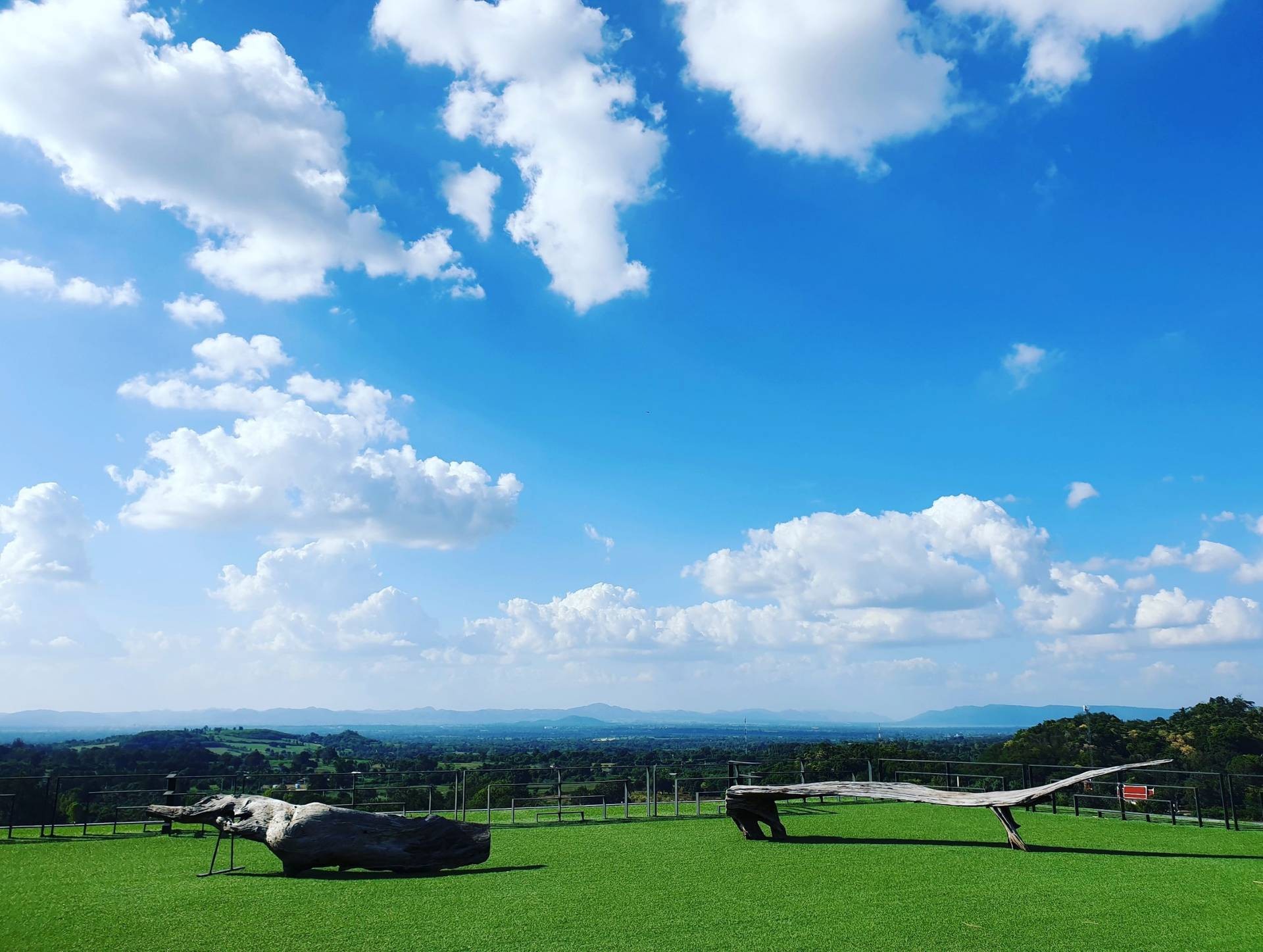 รูป The Paz Khao Yai - Wongnai