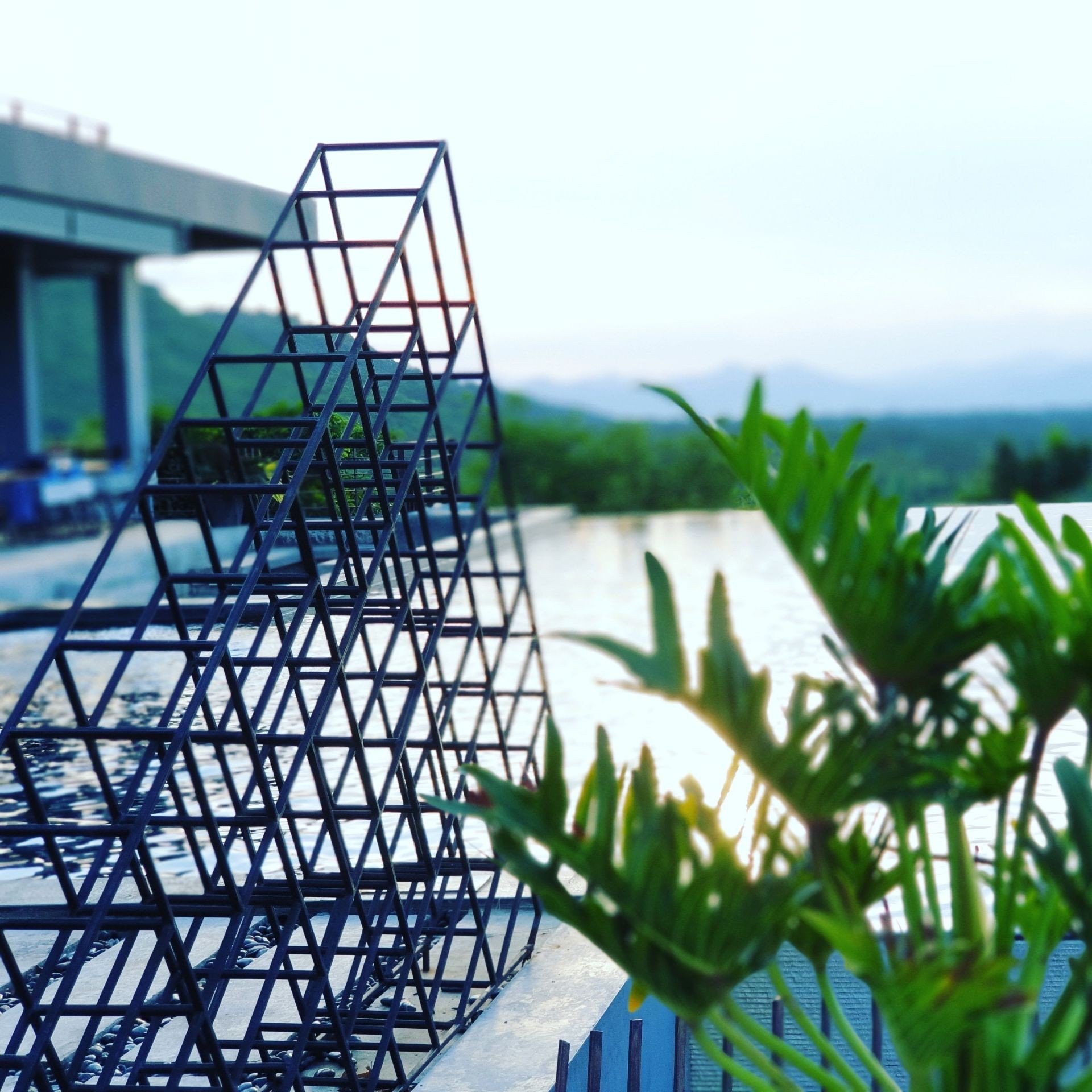 รูป The Paz Khao Yai - Wongnai