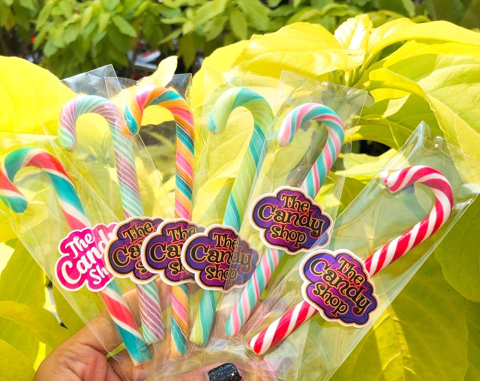 [รีวิว] ร้าน The Candy Shop เดอะมอลล์งามวงศ์วาน | เมนูแนะนำ รูปภาพ ราคา