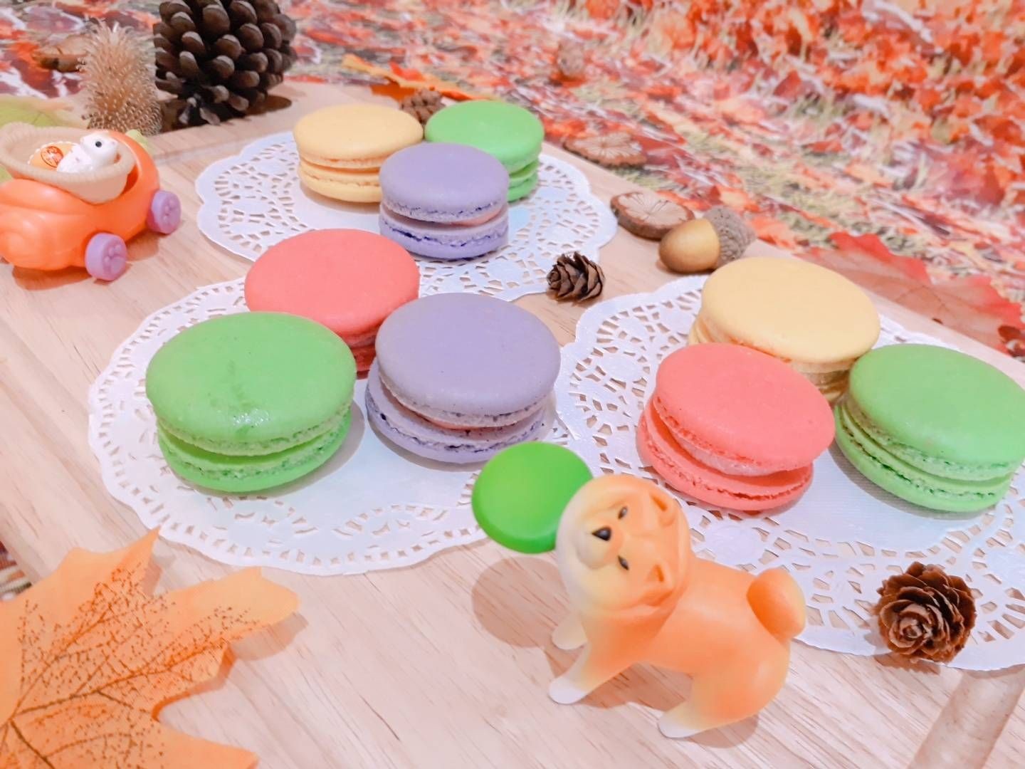 Macaron Doll's Cafe - สั่งอาหารเดลิเวอรี | Wongnai x LINE MAN