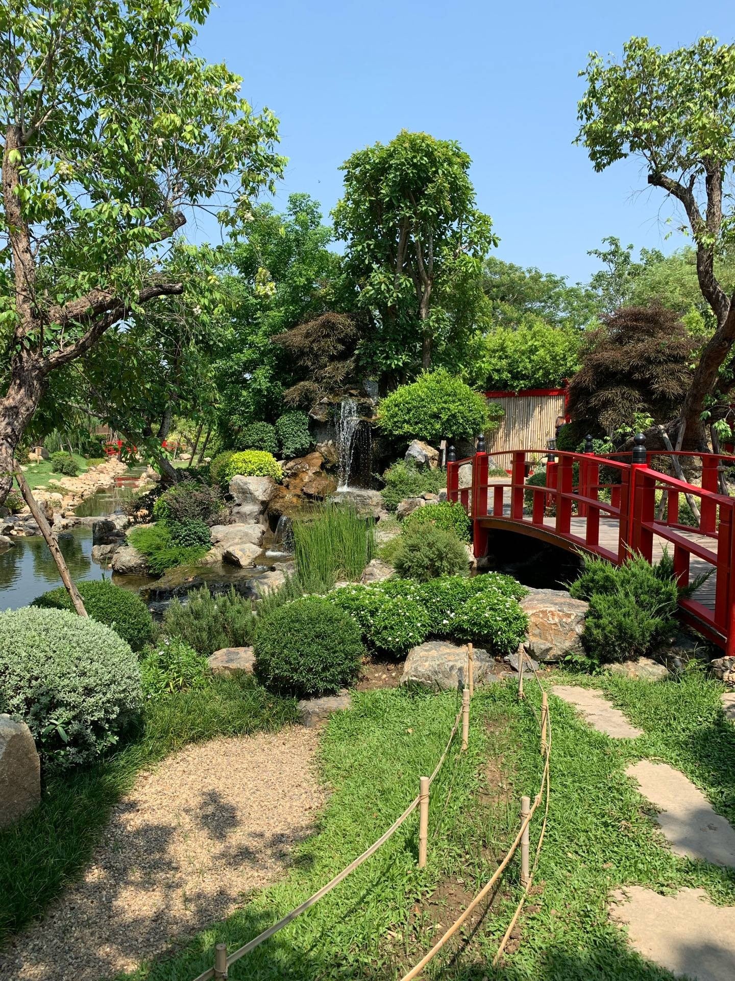 รีวิว Nekoemon Cafe Chiang Mai - ร้านคาเฟ่+อาหารญี่ปุ่น บรรยากาศสวนแบบ ...