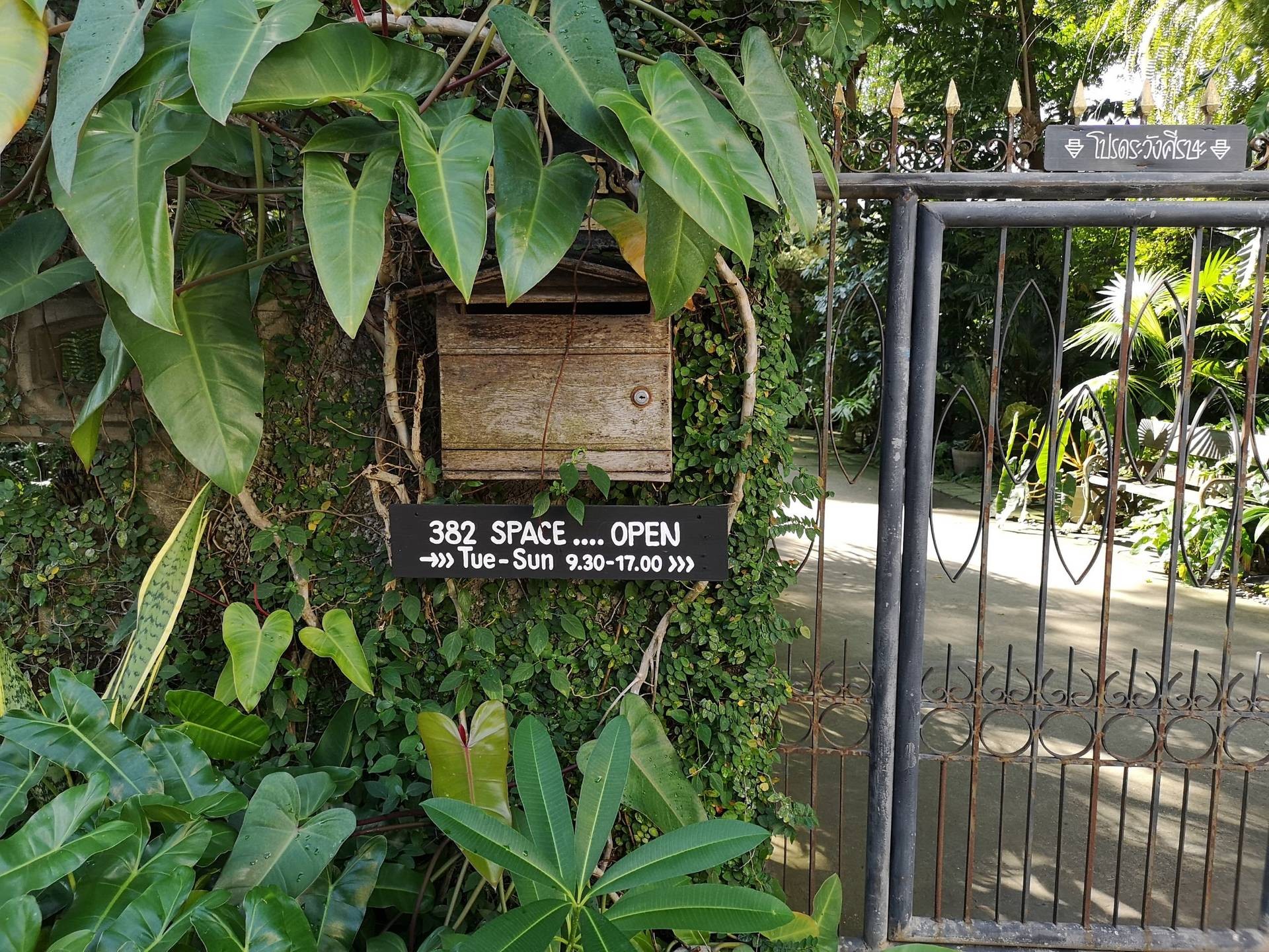 รีวิว 382 SPACE COFFEE & BAKERY - ร้านกาแฟในสวนหน้าบ้าน - Wongnai