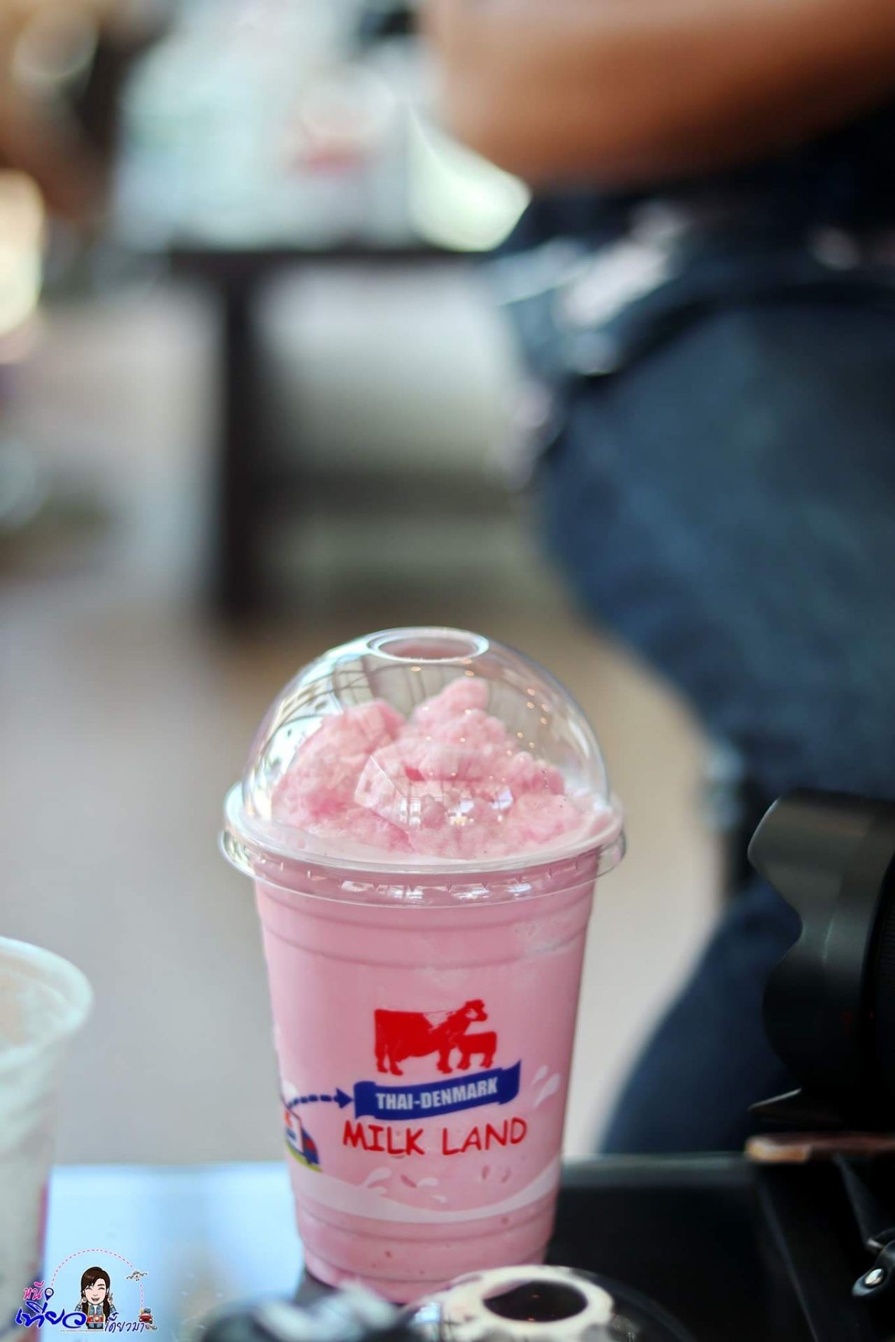 รีวิว MILK LAND 57 จันทบุรี จันทบุรี - สายนม มาจ้า
