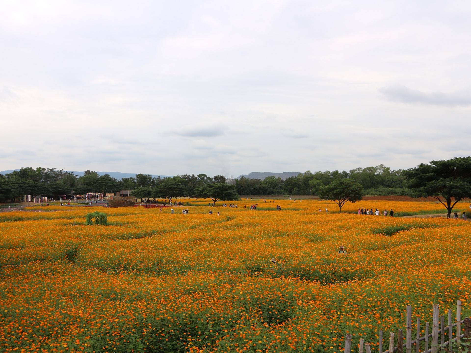 รูป Jim Thompson Farm - Wongnai