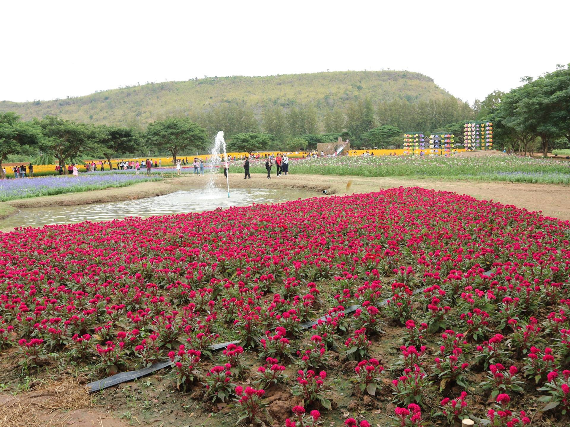 รูป Jim Thompson Farm