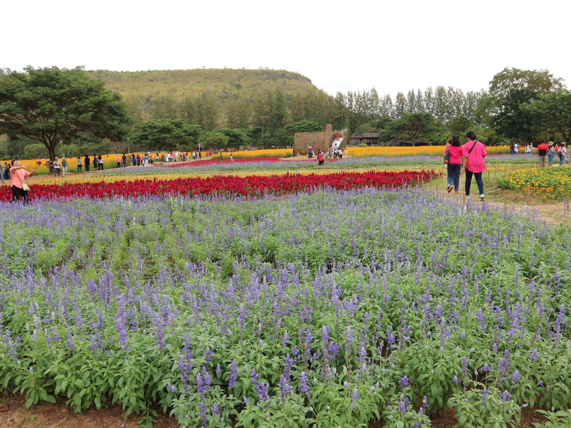 รูป Jim Thompson Farm