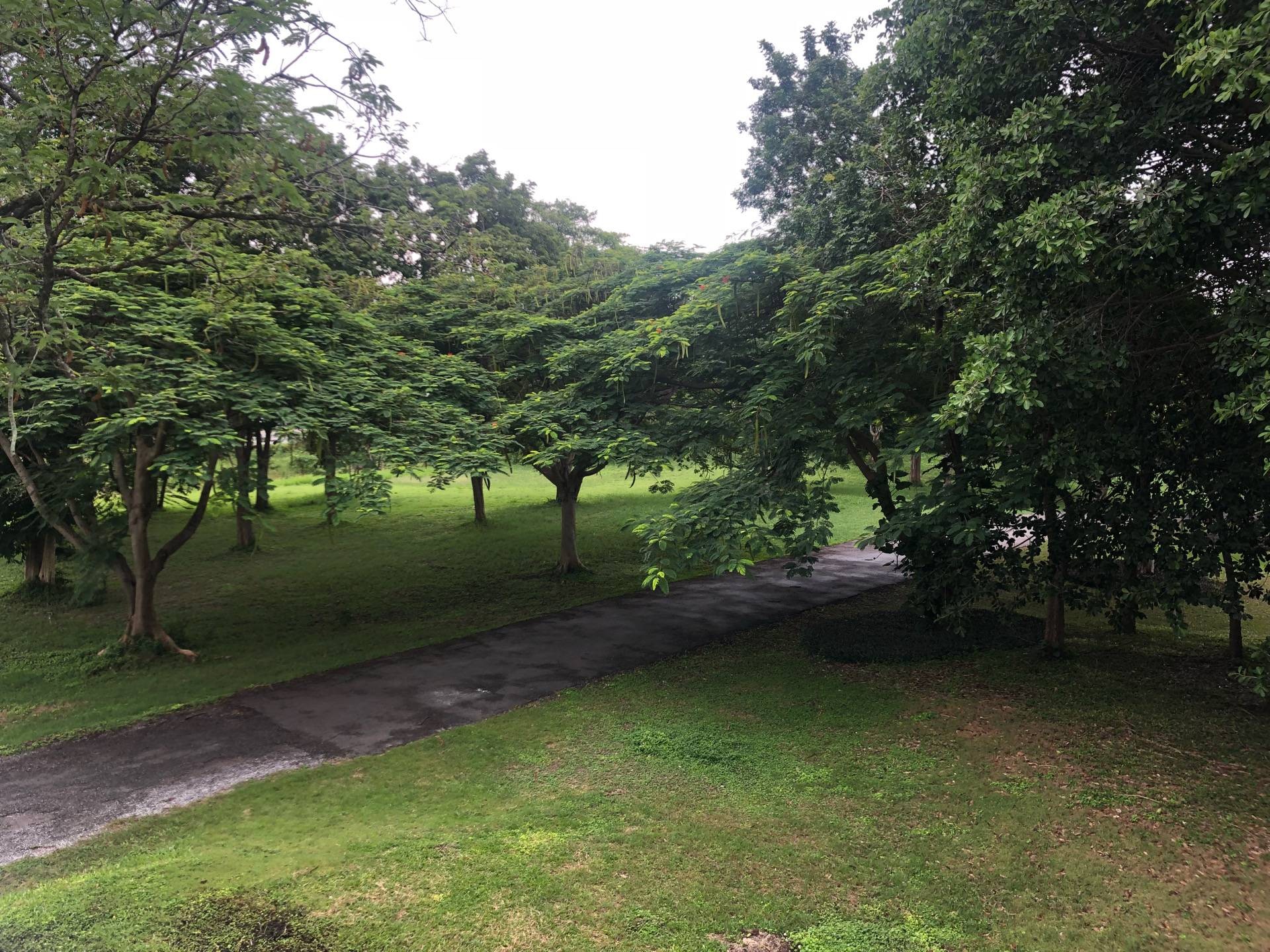 รีวิว Hakuna Matata Nature Resort - ที่พักเขาใหญ่ เหมาะพาเพื่อนมาเสียง ...